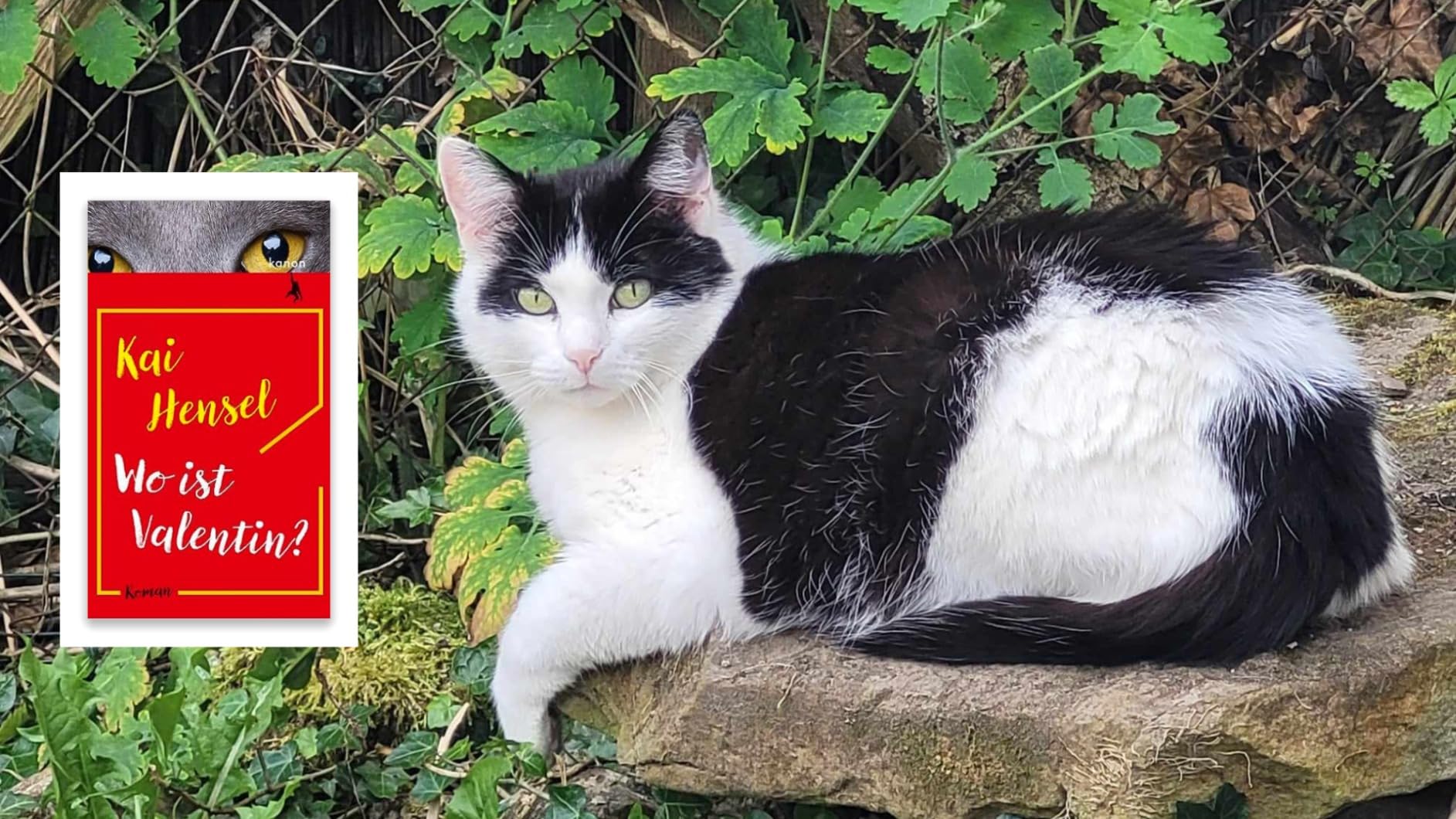 Wo ist Valentin?: Roman eBook : Hensel, Kai: Amazon.de: Kindle-Shop