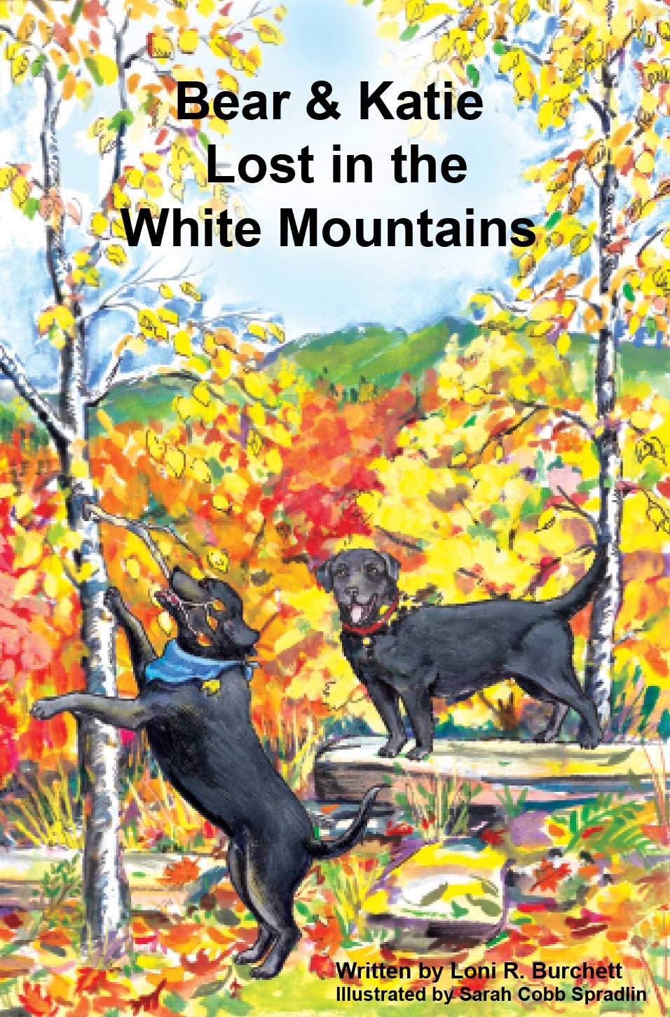 Bear & Katie Lost in the White Mountains (Bear & Katie Series Book 6 ...