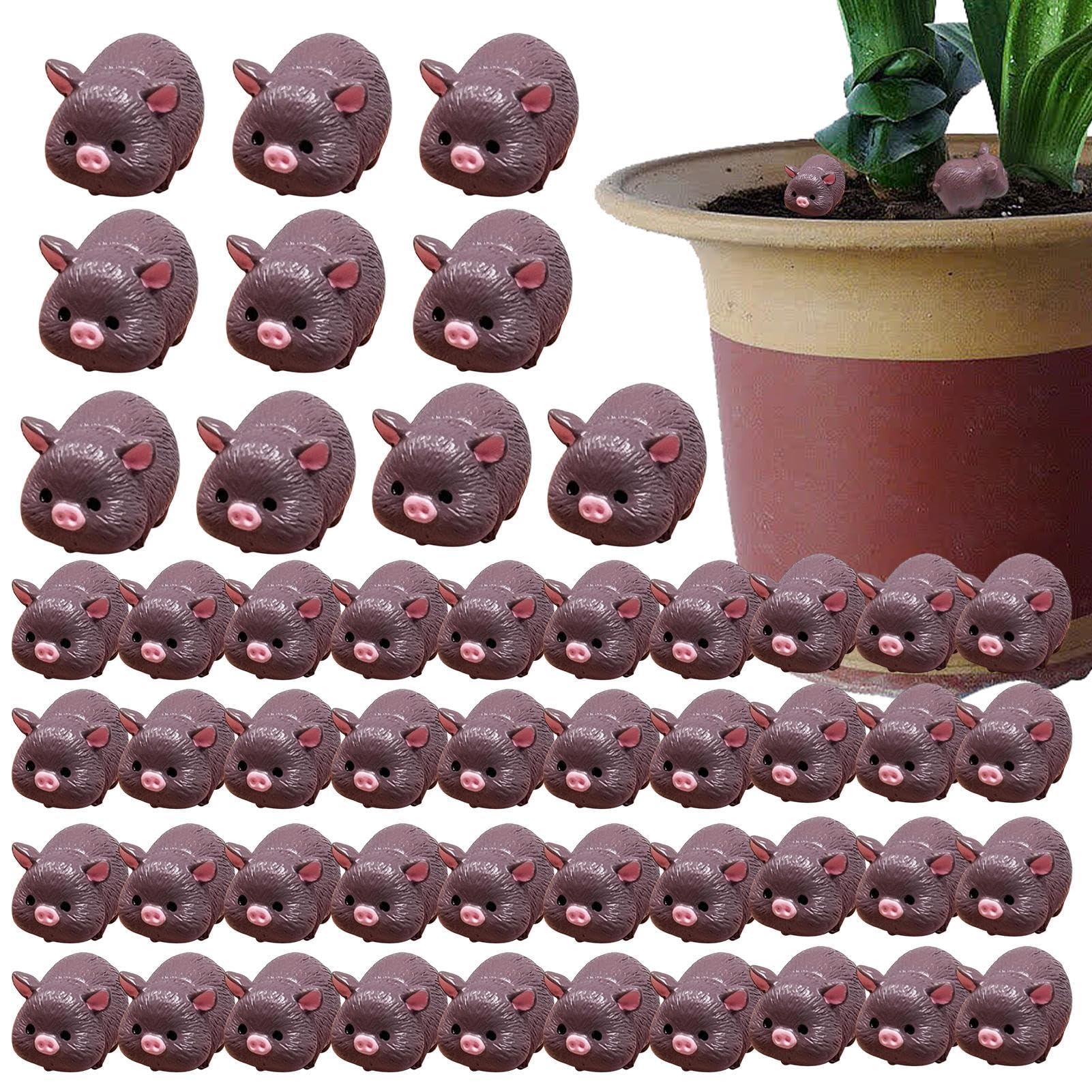 Schwarze Miniaturschweine