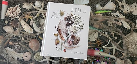 Amazon.com: STILL: The Art of Noticing: 9781580936330: Hoffman, Mary Jo ...