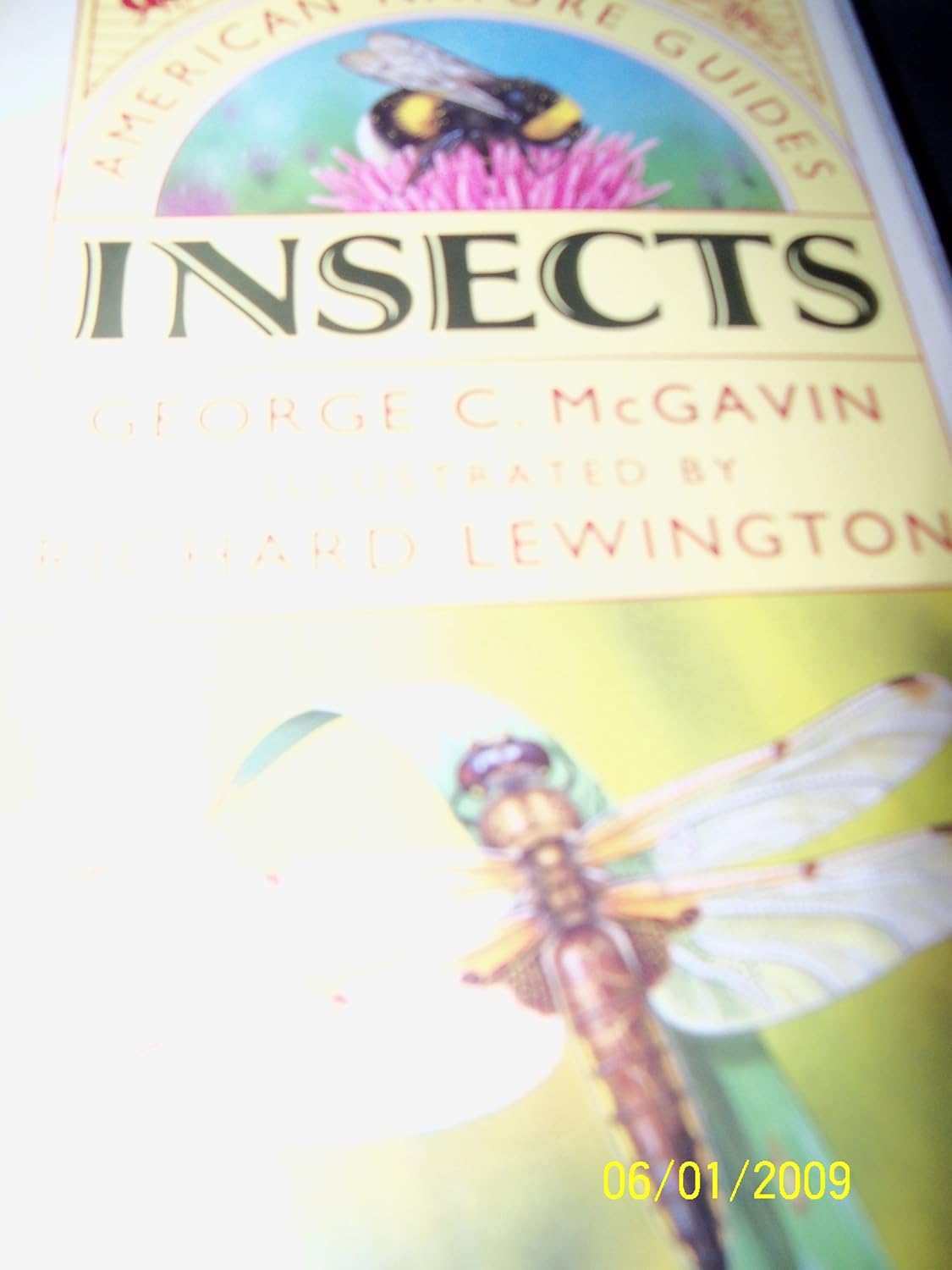Insects (Americna Nature Guides): McGavin, George C., Lewington ...