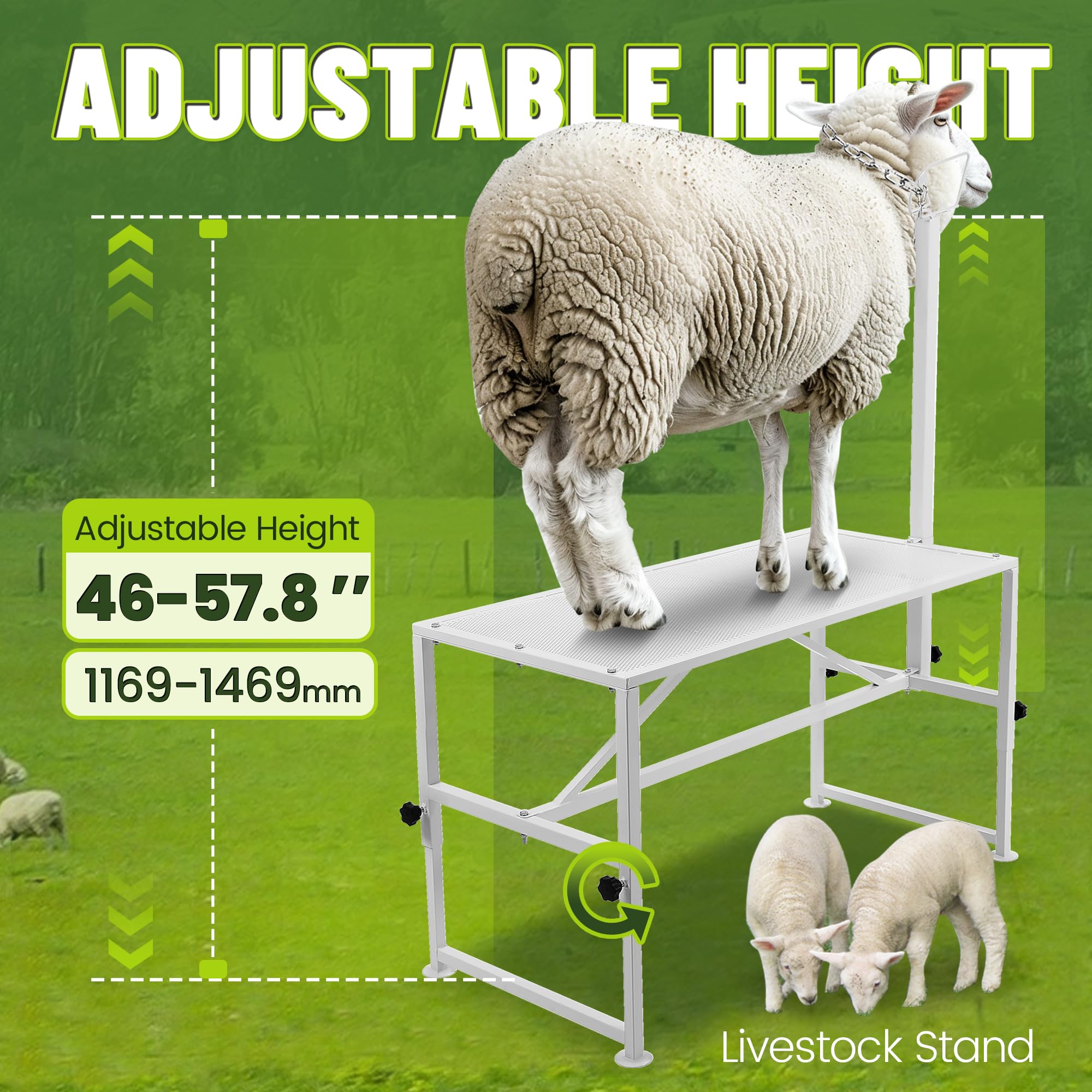 Snapklik.com : Livestock Stand 51x23, Goat Milking Stand, Trimming ...