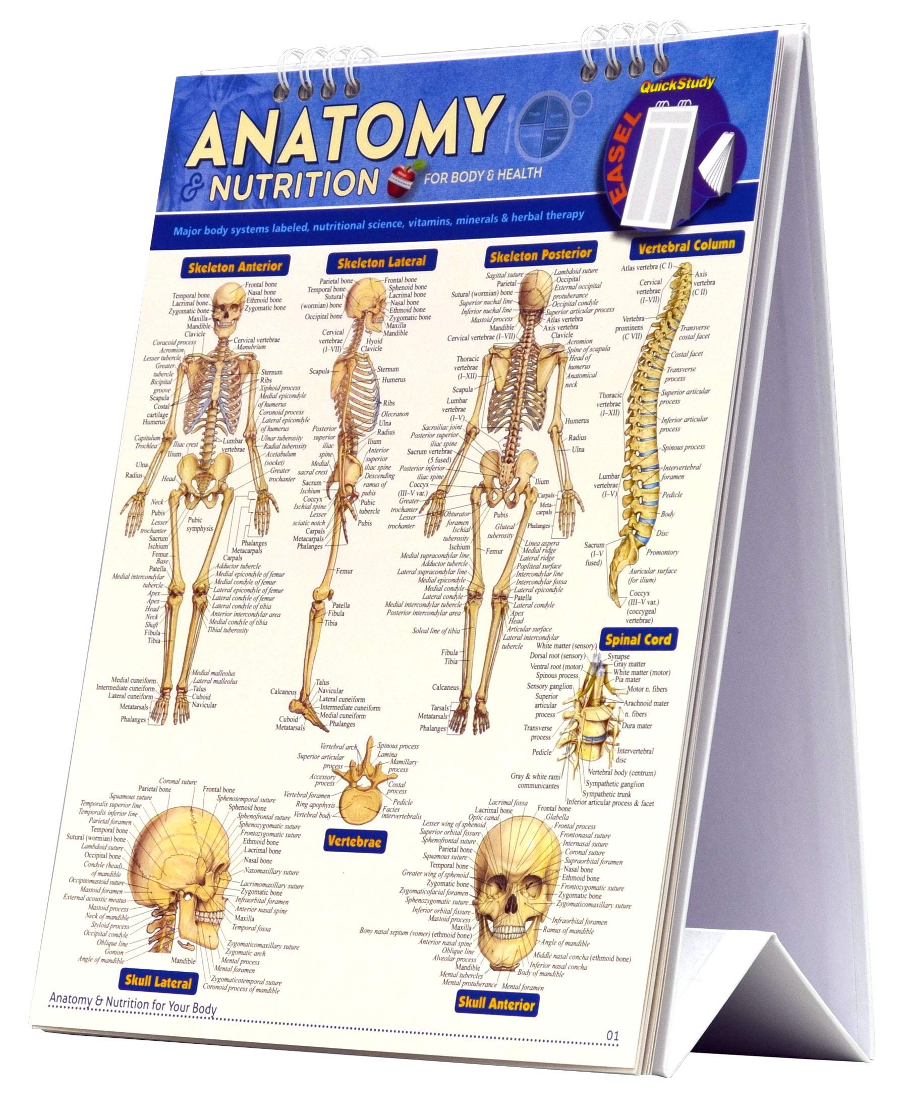 Anatomy & Nutrition (Quickstudy Easel): BarCharts, Inc.: 9781423222675 ...