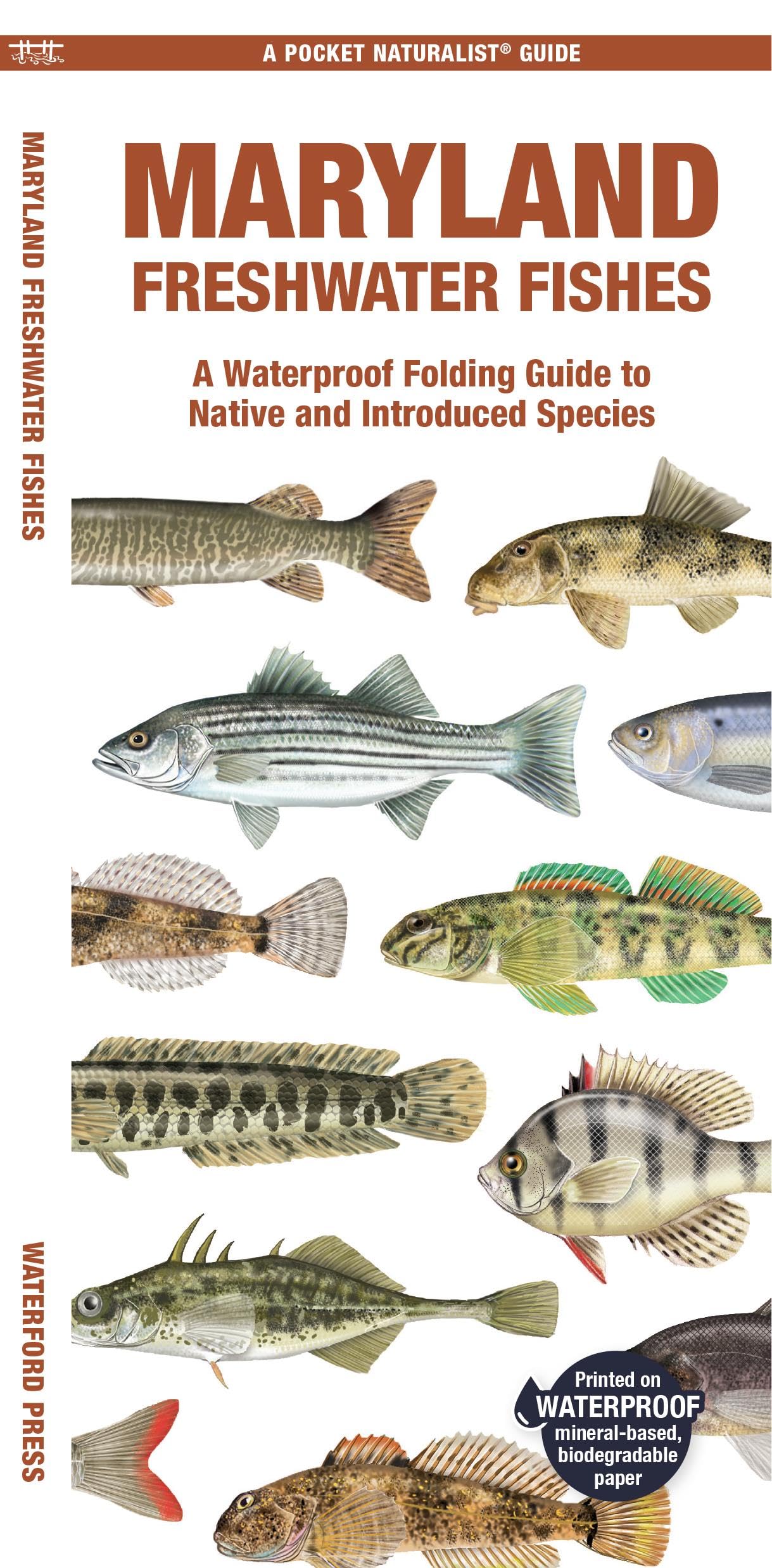 Maryland Freshwater Fishes: A Folding Guide to Native and Introduced ...