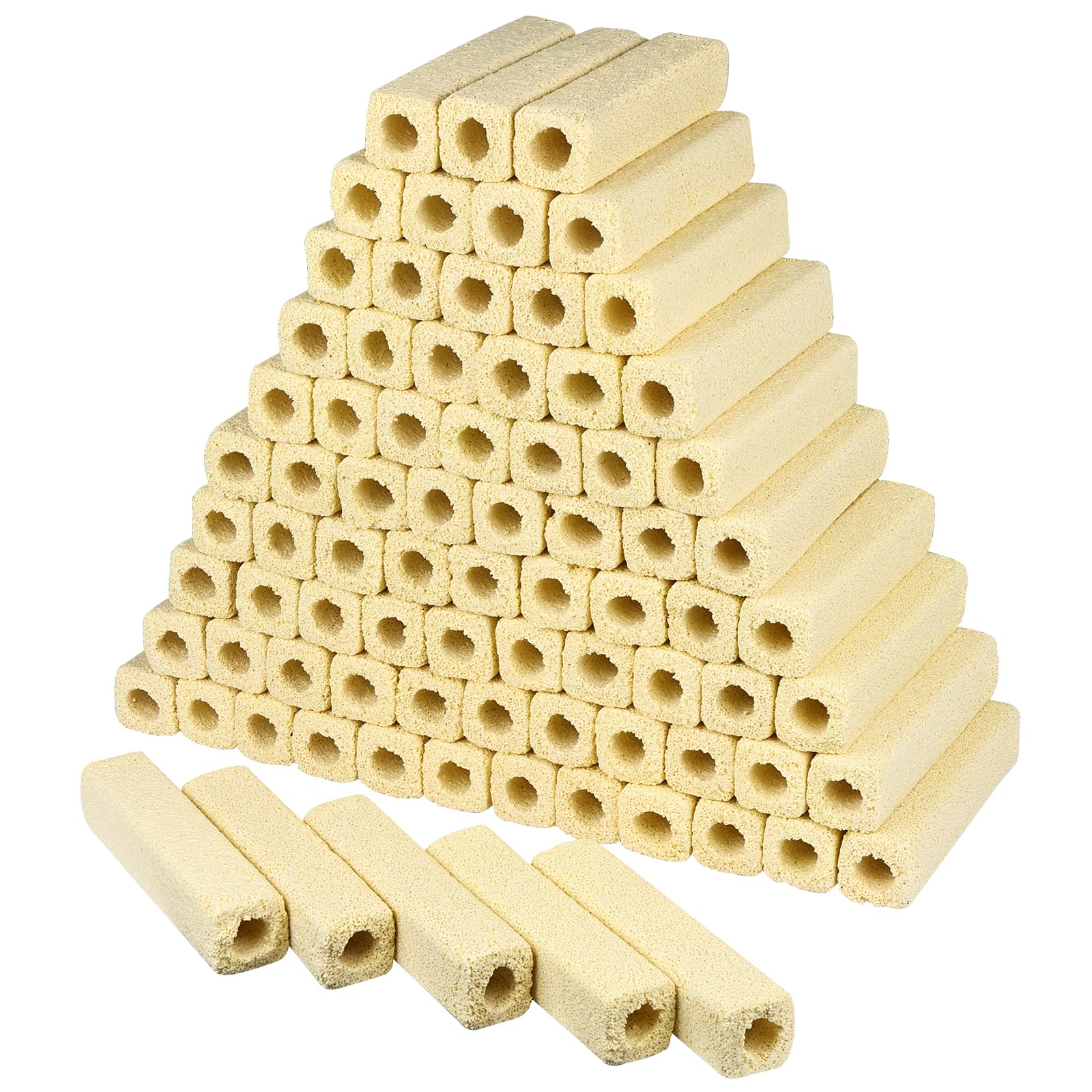 Amazon.com : RealPlus 80pcs Aquarium Ceramic Bio Filter Media for ...