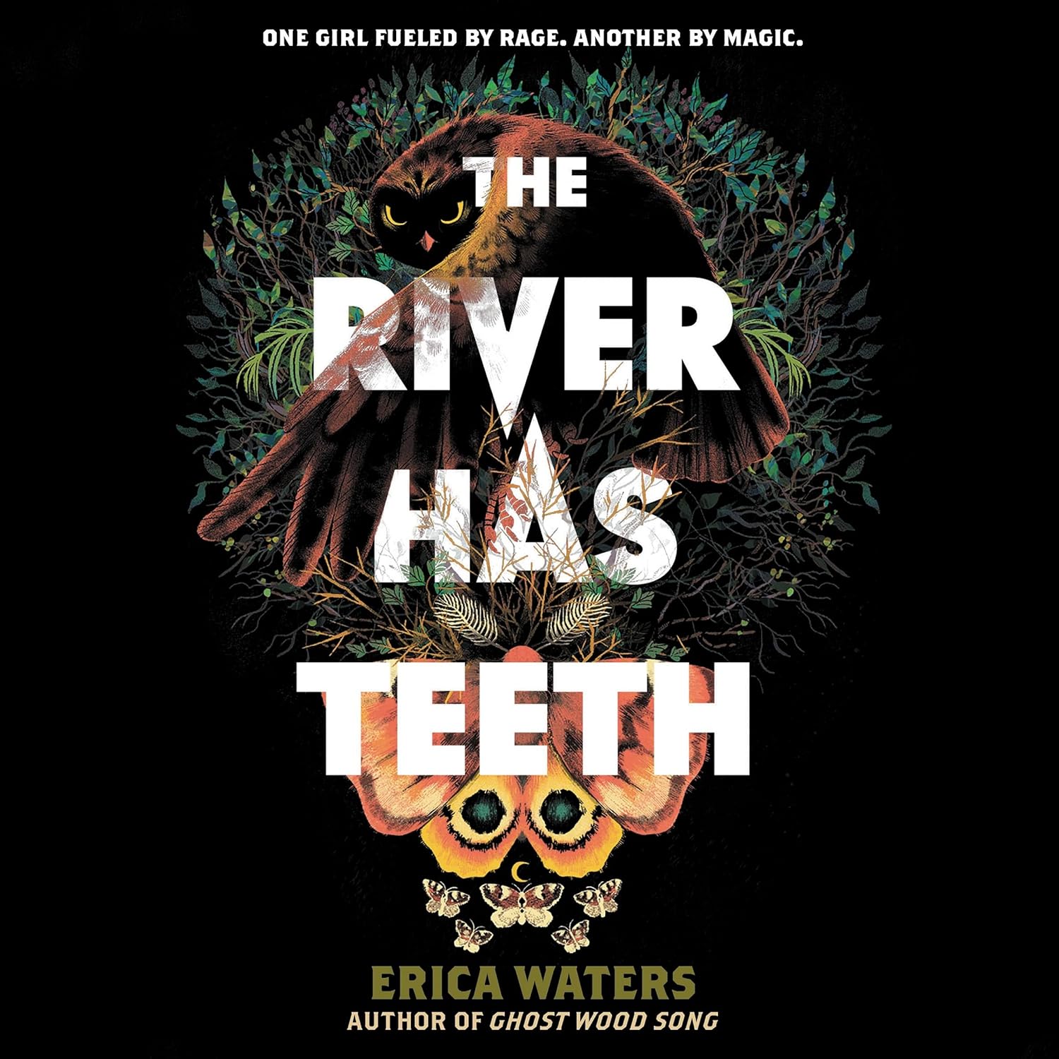 Amazon.com: The River Has Teeth: 9781665100267: Erica Waters: Books
