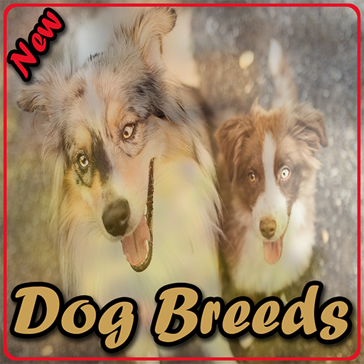 Dog Breeds - App on Amazon Appstore