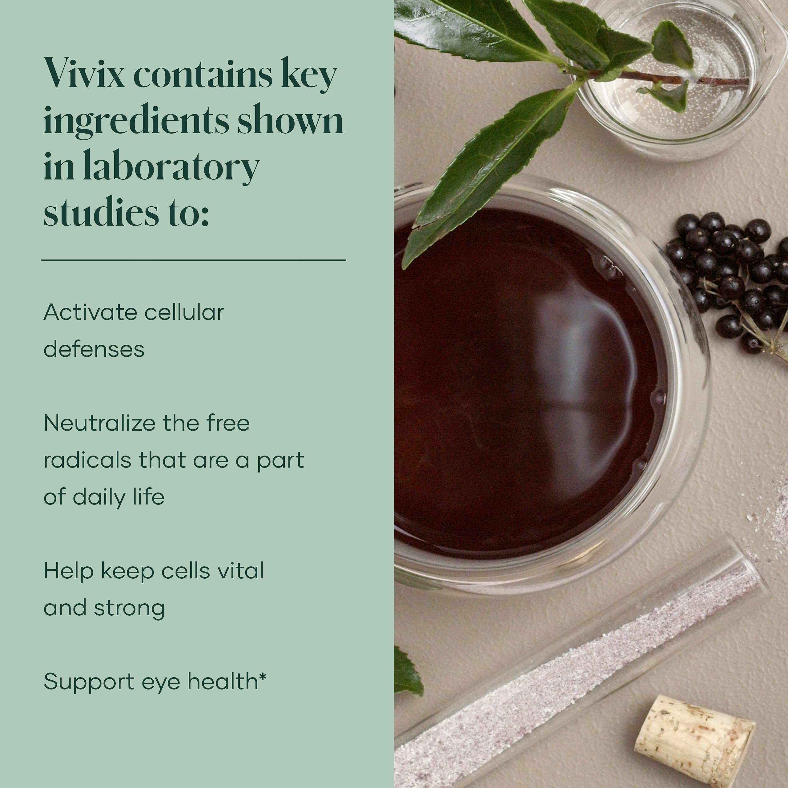 Vivix Shaklee English