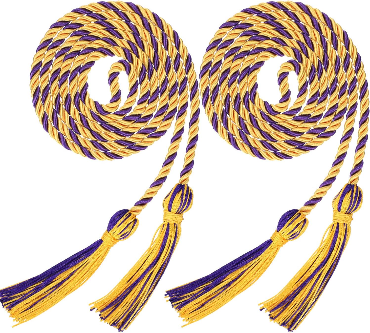 Amazon.com: PRETYZOOM Graduation Cords Rainbow Honor Society Rope ...