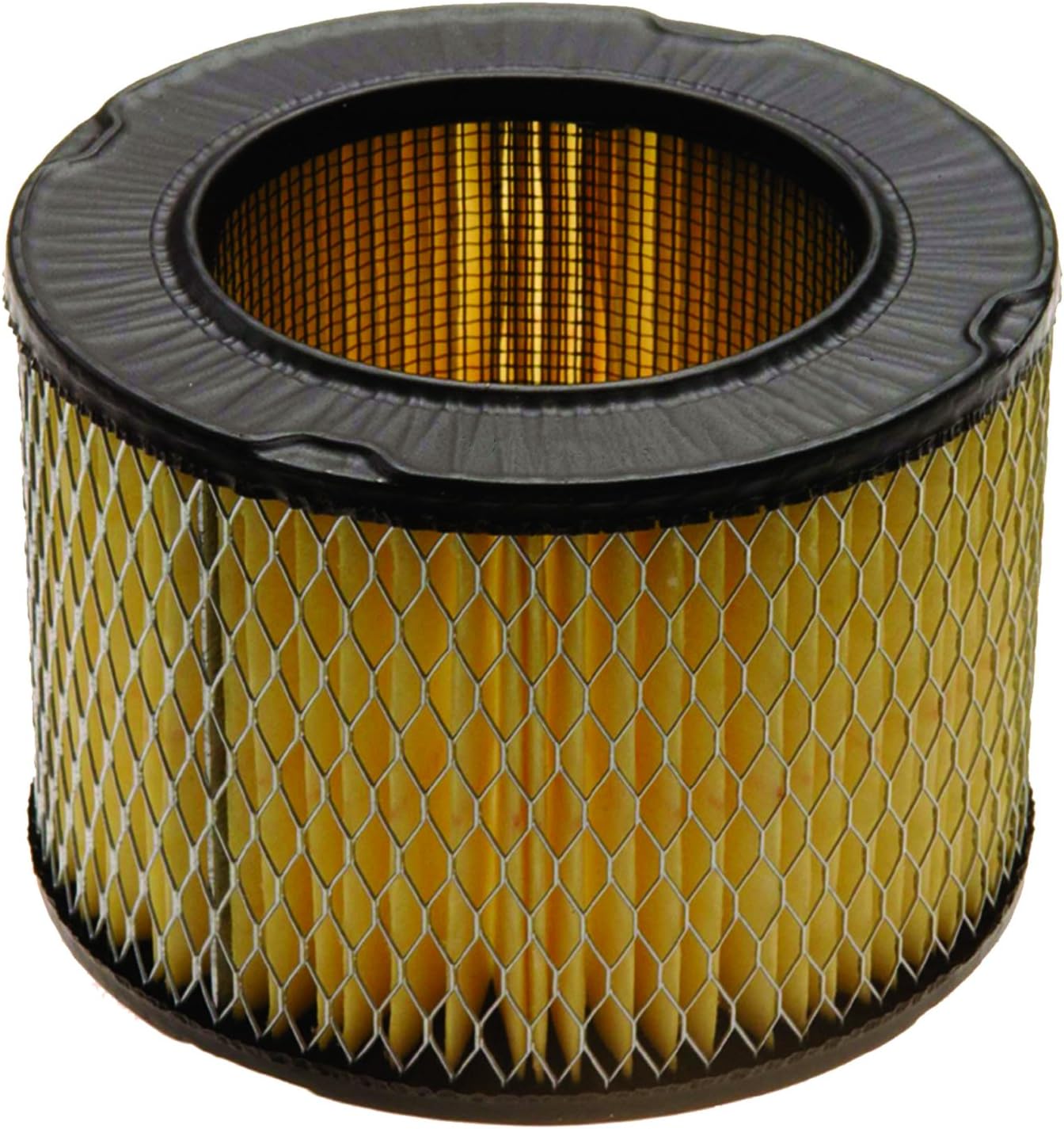 Amazon.com: ACDelco A432C Air Filter : Automotive