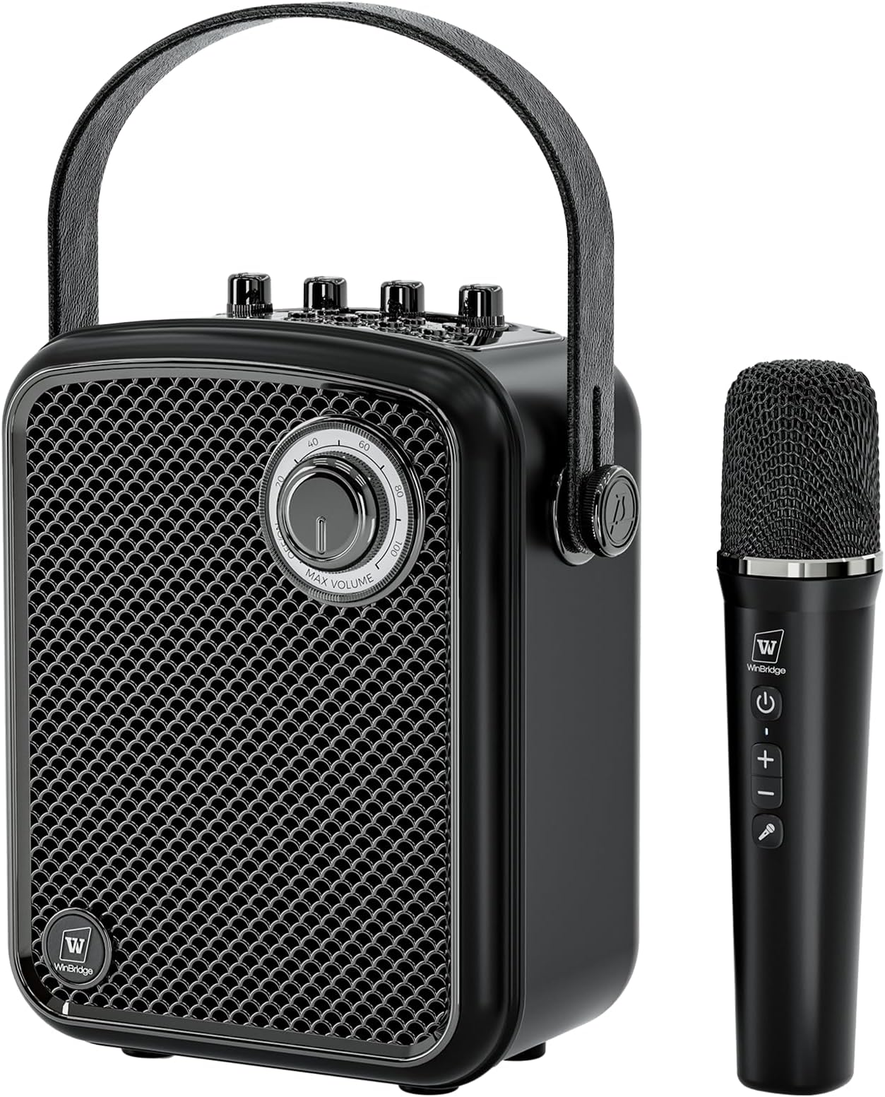 Amazon.com: Wireless Voice Amplifier with Microphone, Portable PA ...