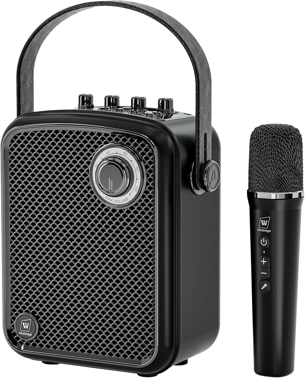 Amazon.com: Wireless Voice Amplifier with Microphone, Portable PA ...