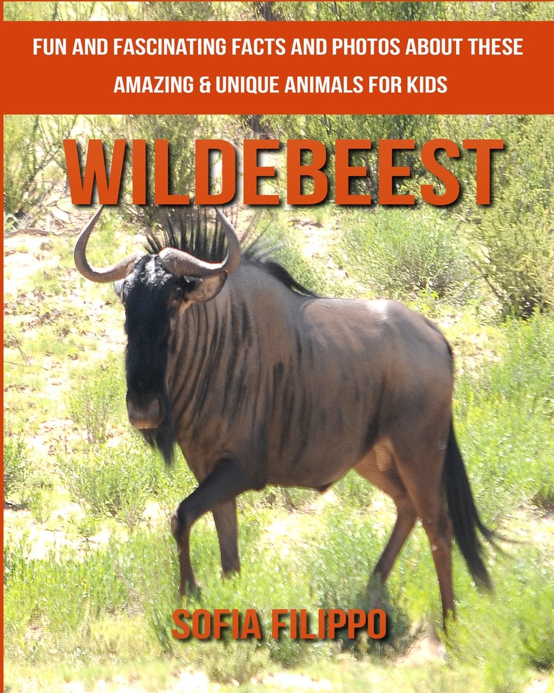 Wildebeest Fun And Fascinating Facts And Photos About These Amazing ...