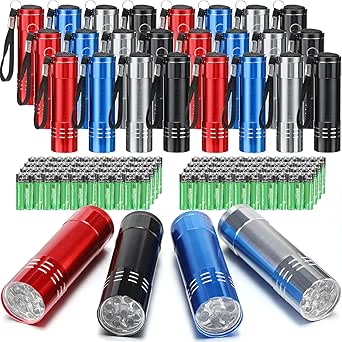 Tujoe 30 Pack Mini LED Flashlight Bulk, Aluminum LED Handheld Torches ...