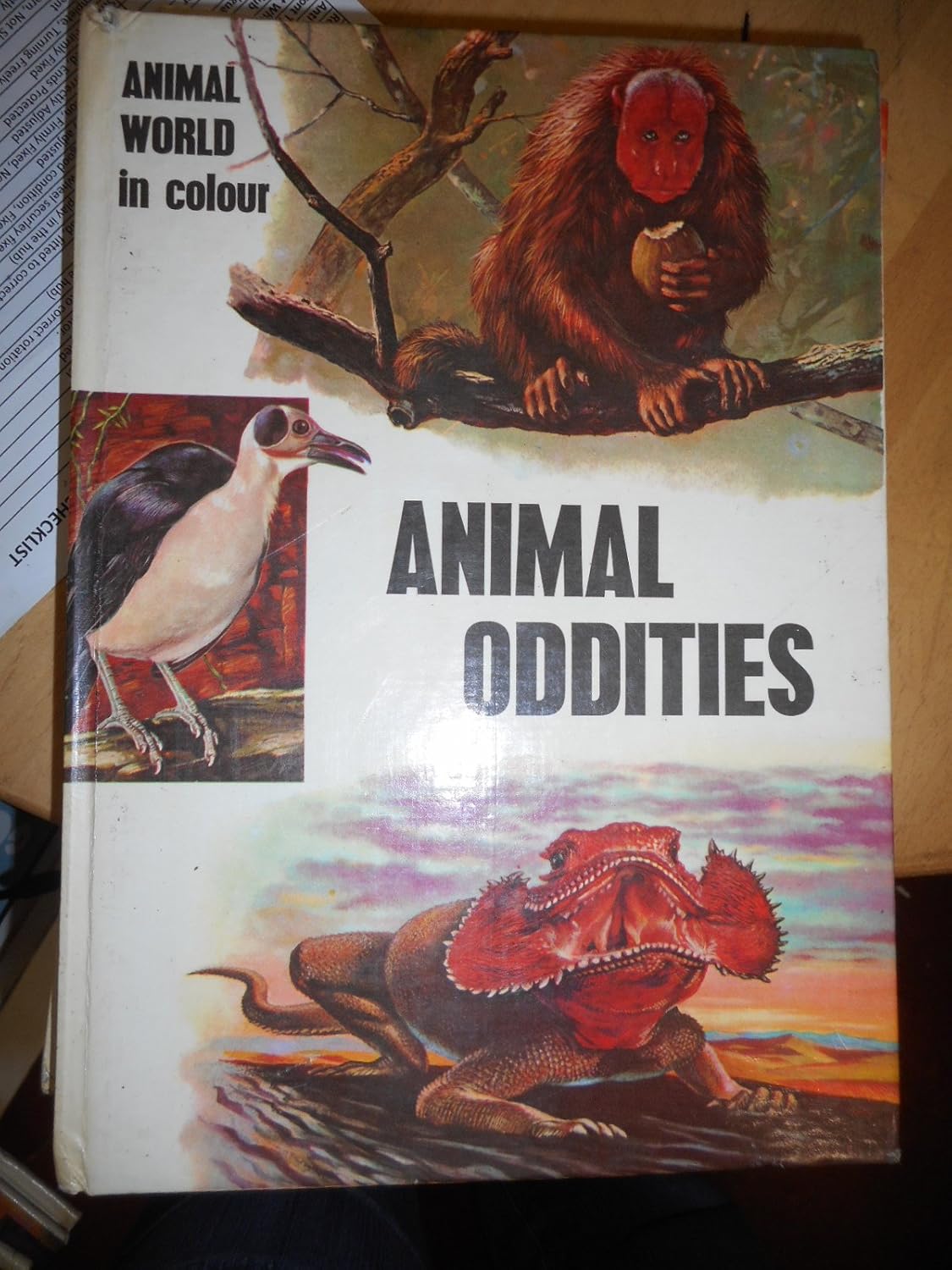 Animal oddities: Burton, Maurice: Amazon.com: Books