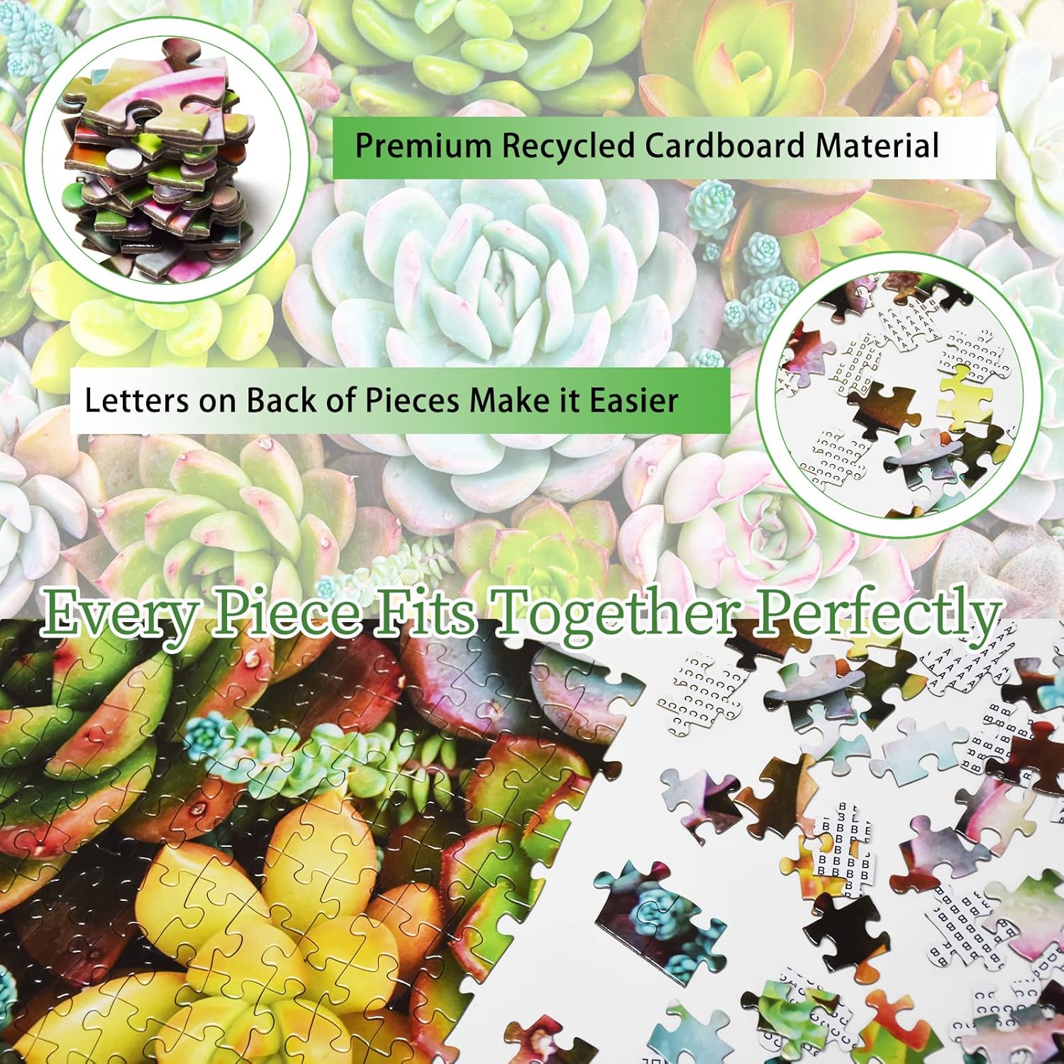 Buy HUADADA Jigsaw Puzzles 1000 Pieces, Succulent Plants Puzzles for ...