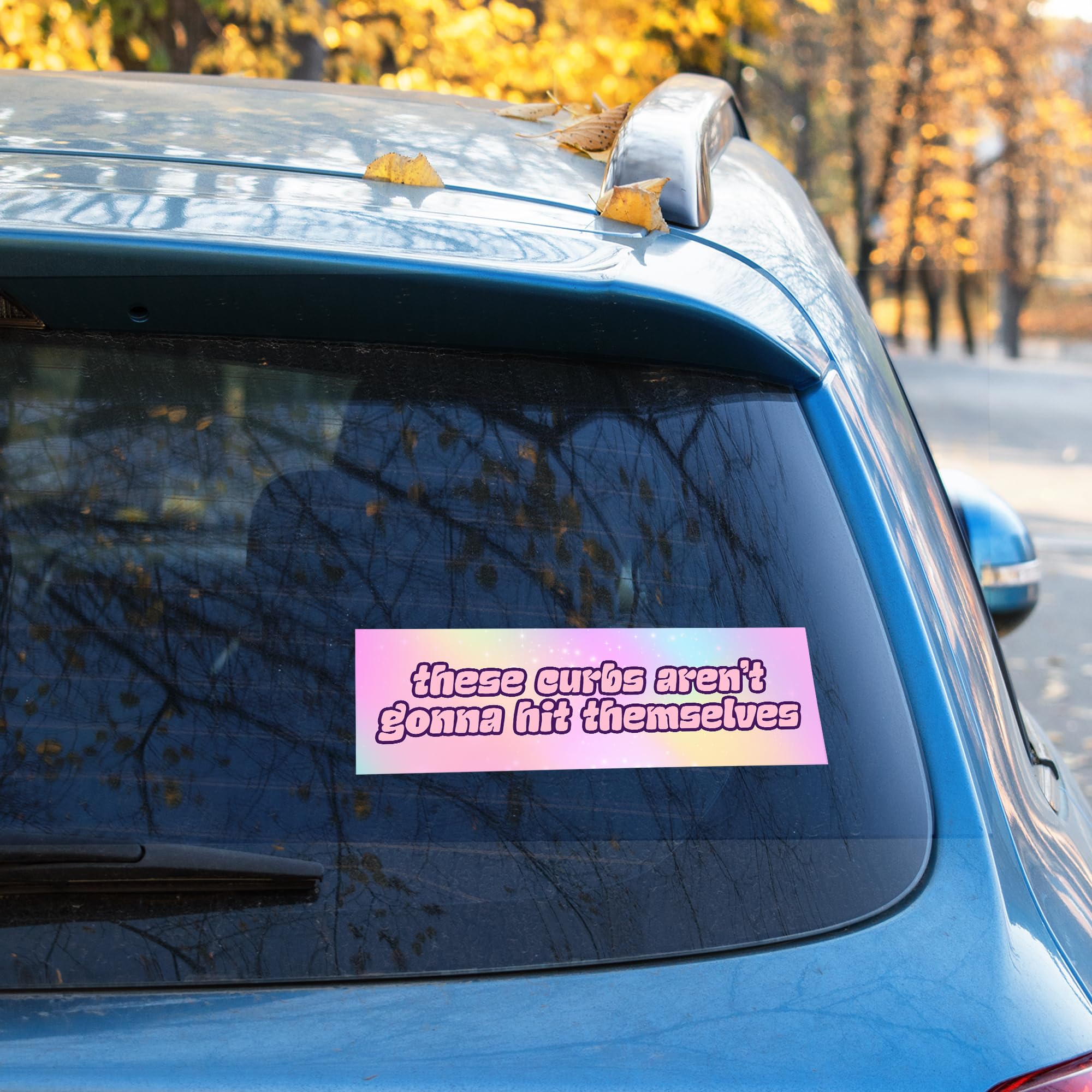 Lowered Expectations Bumper Stickers Car Stickers Custom Bumper