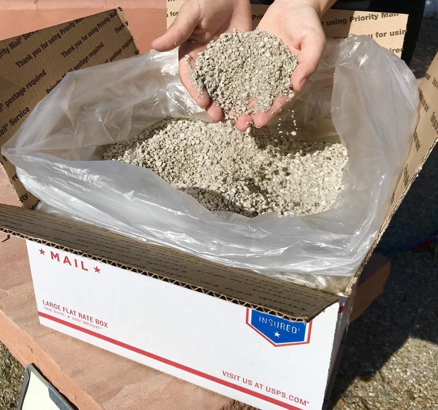 Amazon.com : Horticultural Grade 3/8" Pumice : Patio, Lawn & Garden