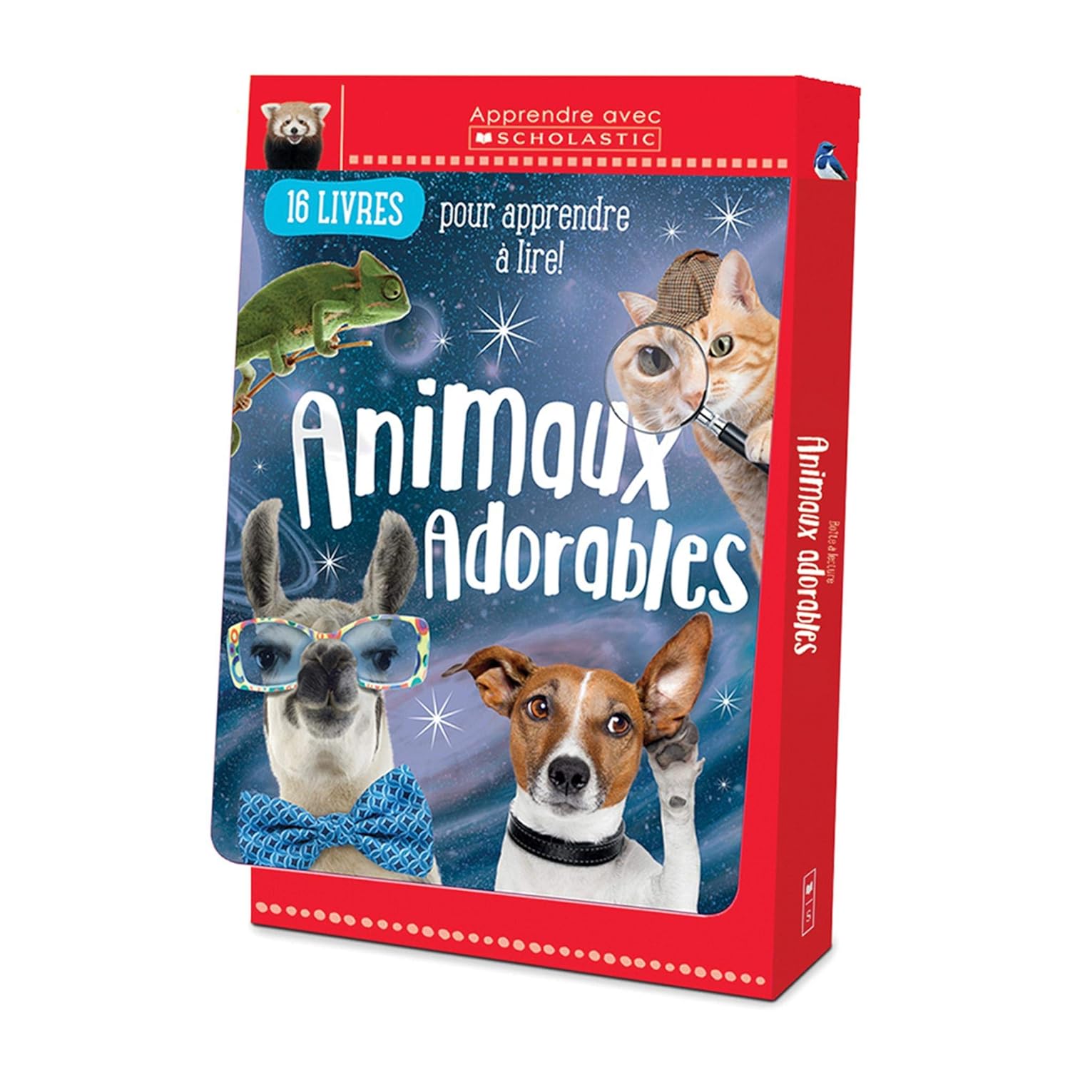 Amazon.com: Apprendre Avec Scholastic: Boîte À Lecture: Animaux ...