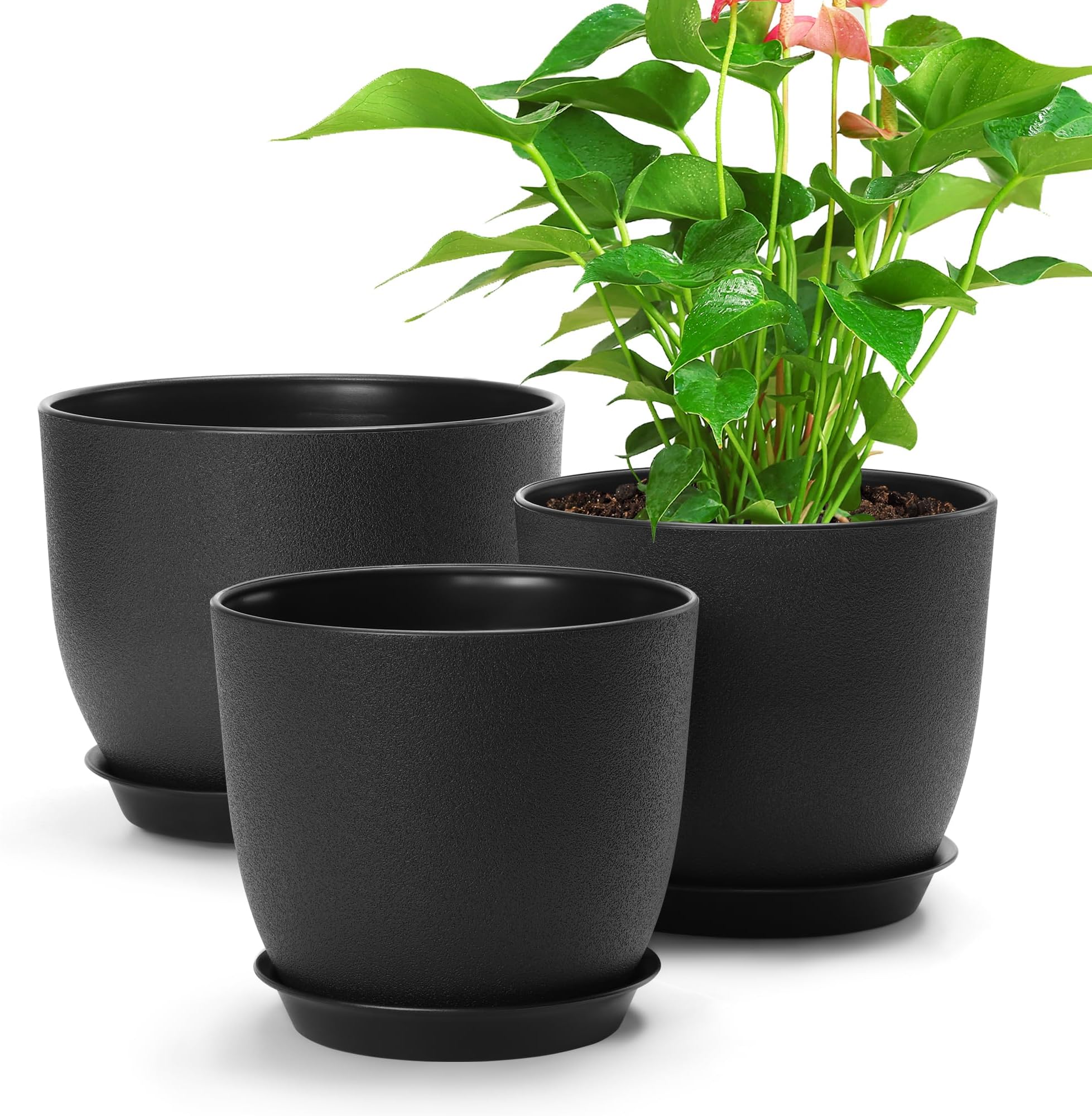 Amazon.com: Root & Vessel Majestic Mid-Century Modern Low Profile ...