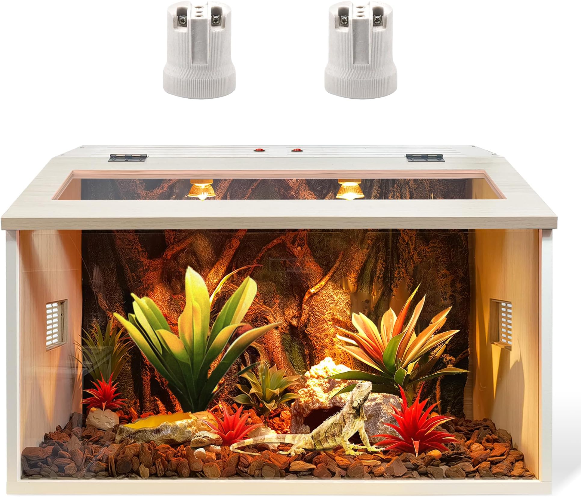 Amazon.com : Prolee Reptile Terrarium Tank Large 40 Inch Bearded Dragon ...