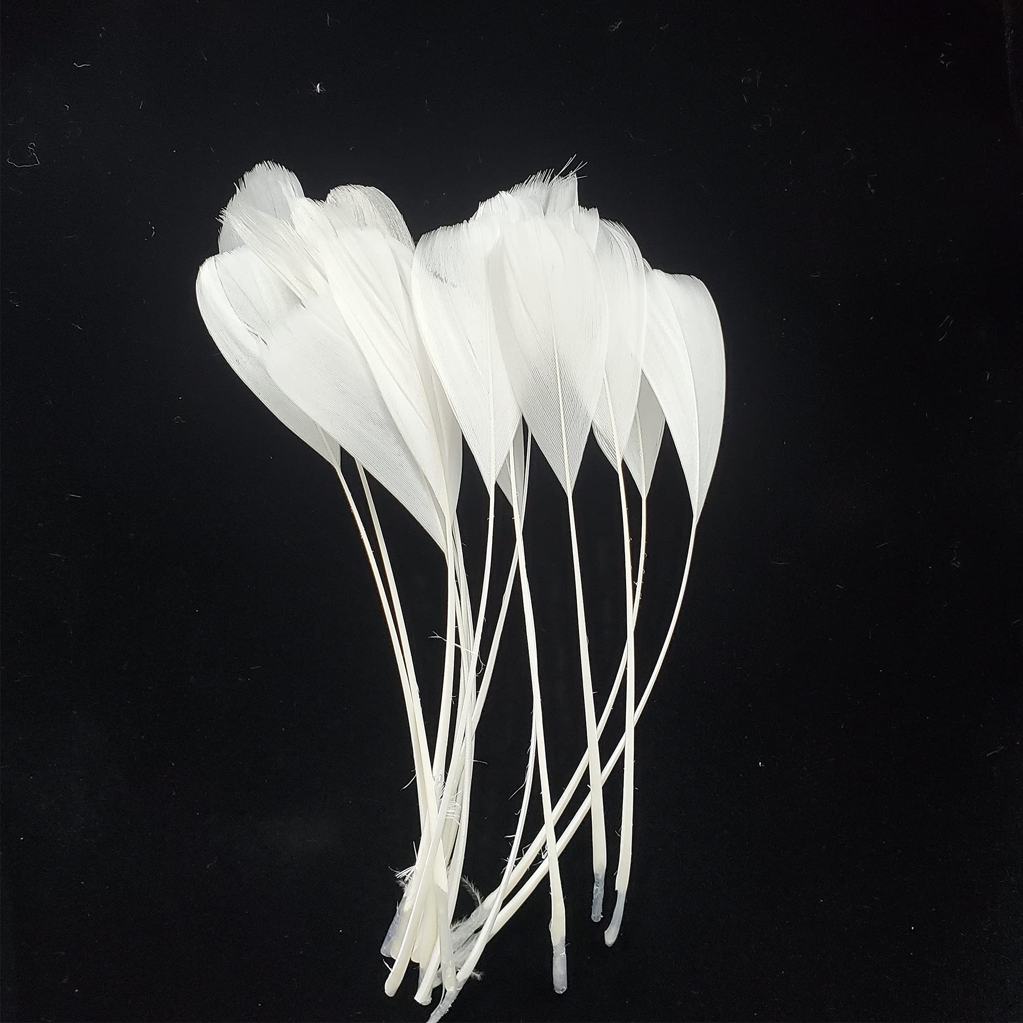 Amazon.com: HAPPY FEATHER 40PCS 5-7 inch Goose Feathers for Crafts, DIY ...