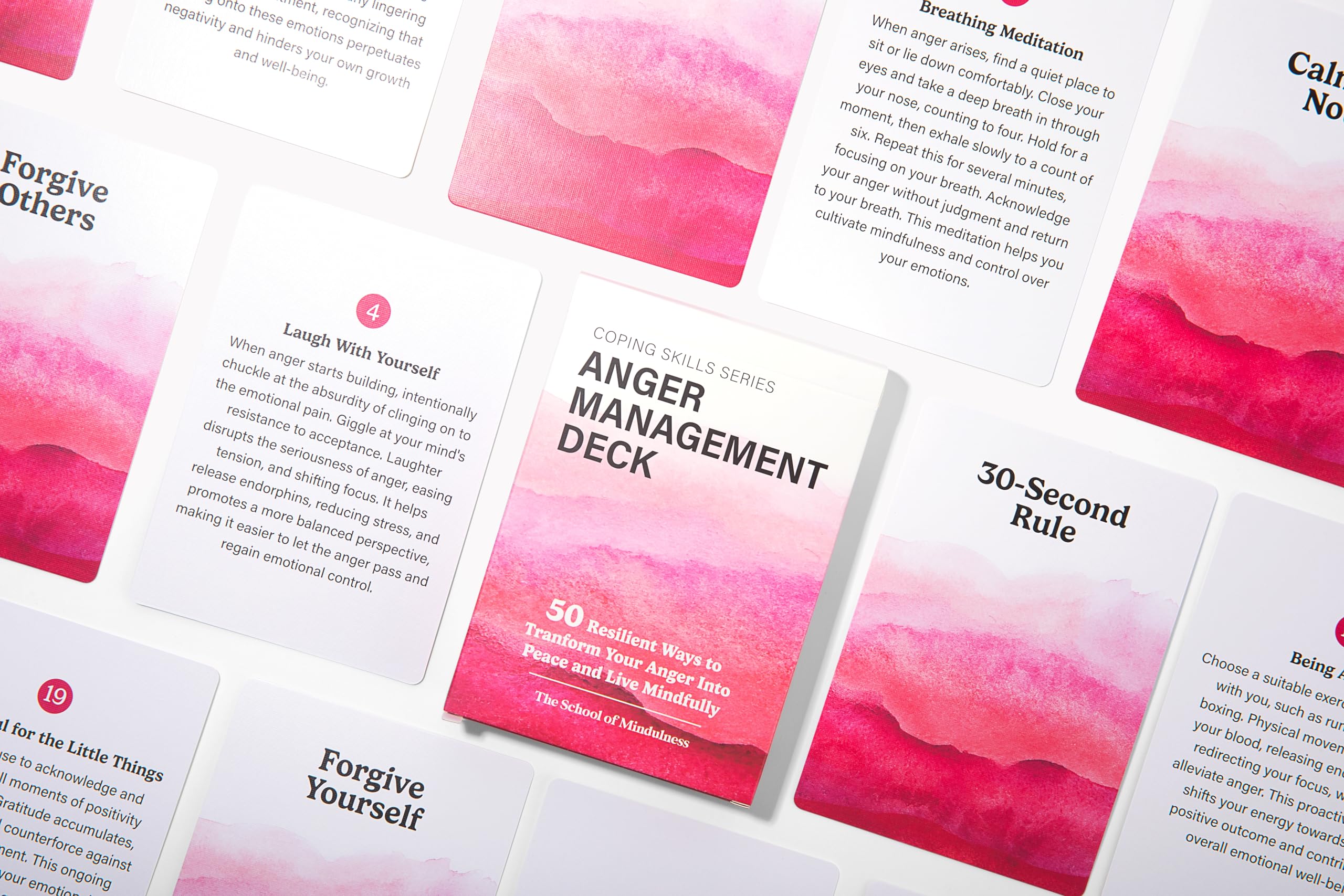 Snapklik.com : The School Of Mindfulness- Mindfulness Coping Skills ...