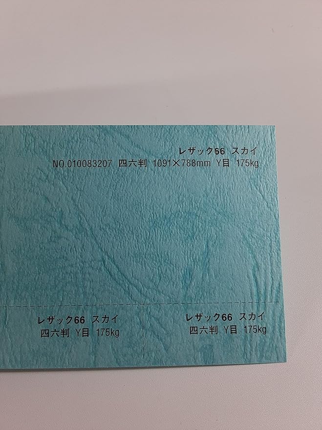 Amazon | レザック66 紙 175kg A4サイズ 33枚入り 選べる50色 厚さ0.21㎜ 297㎜×210㎜ ファンシーペーパー オリオン レザック紙 (スカイ) | 色画用紙 | ホビー