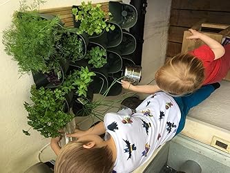 Wonderwall Self Watering Vertical 3 Pocket Garden Wall Planter Outdoor ...