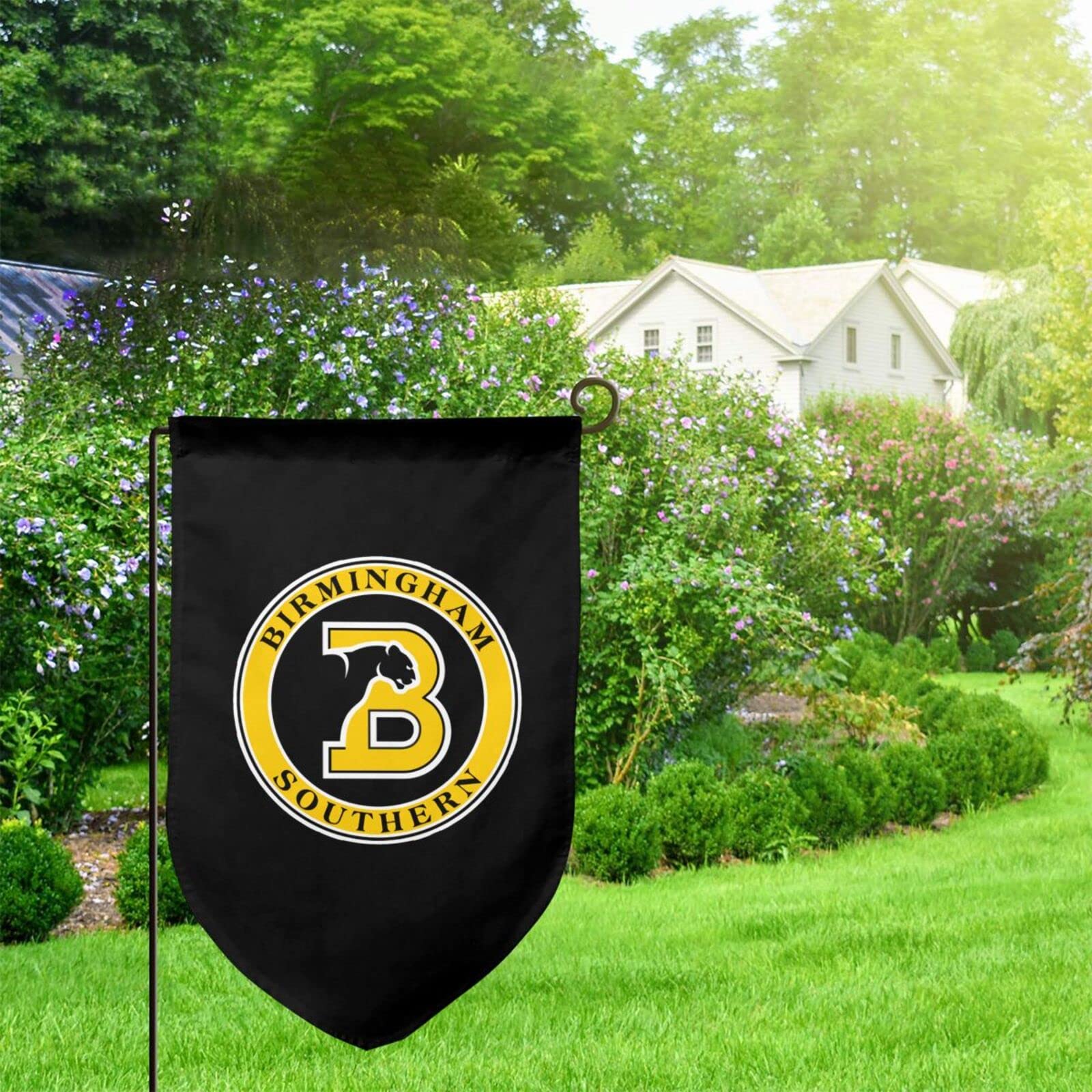 Birmingham Southern Logo Birmingham Southern Hosts First Ever Night