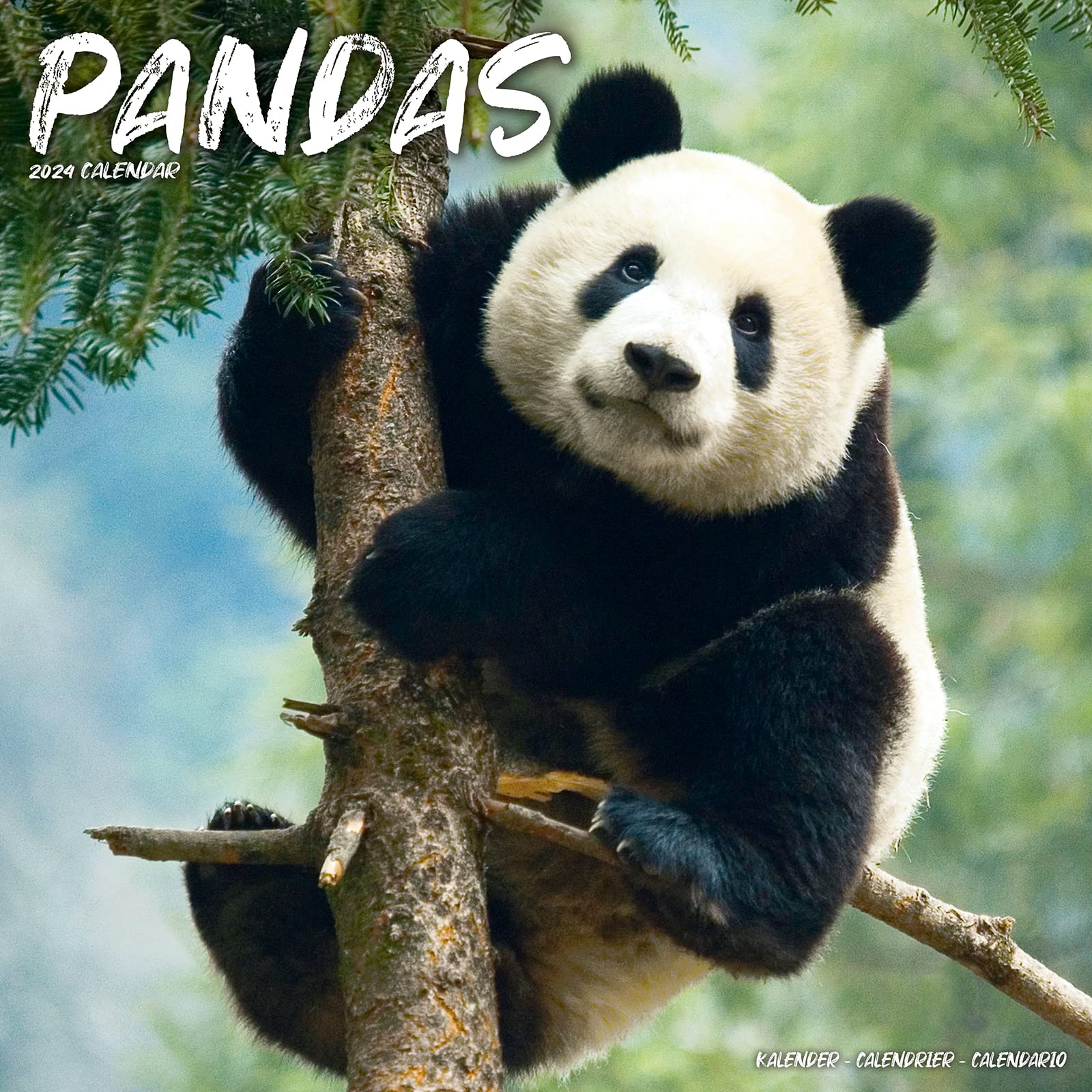 Panda Calendar - Cute Animal Calendar - Calendars 2023 - 2024 Wall ...