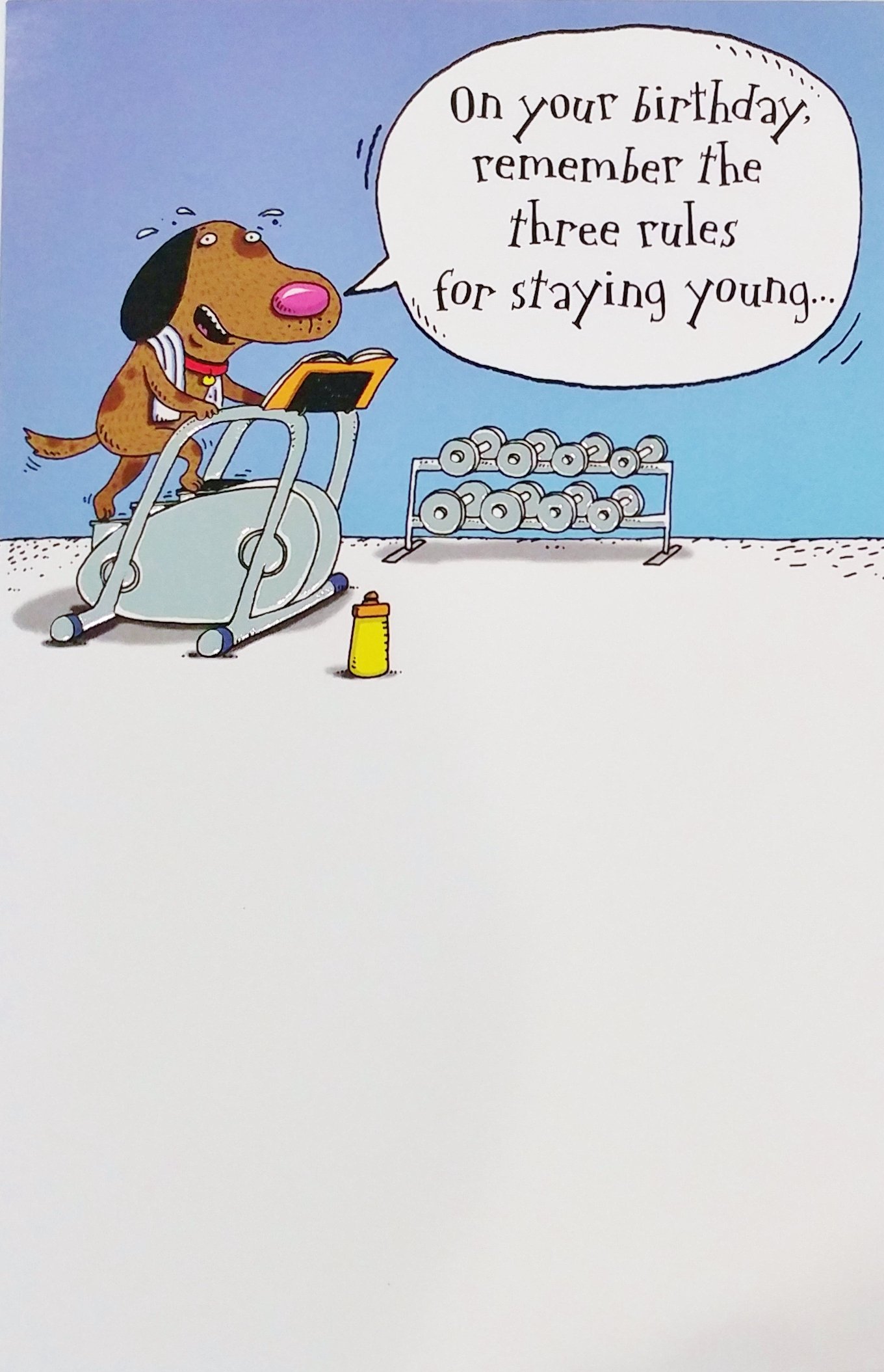 Dog Rules Humor Everyone Stopped To Laugh At These Funny Dog Memes
