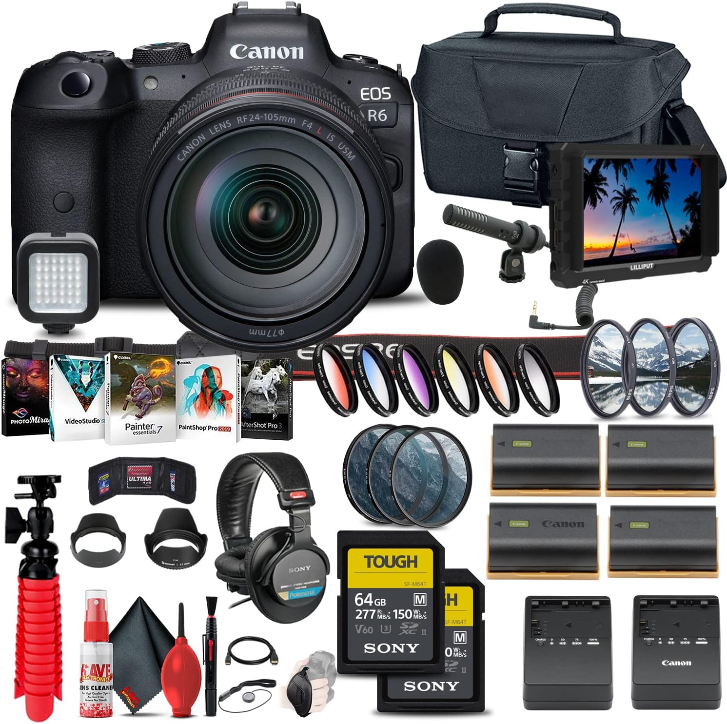 Amazon.com : Canon EOS R6 Mirrorless Digital Camera with 24-105mm f/4L ...