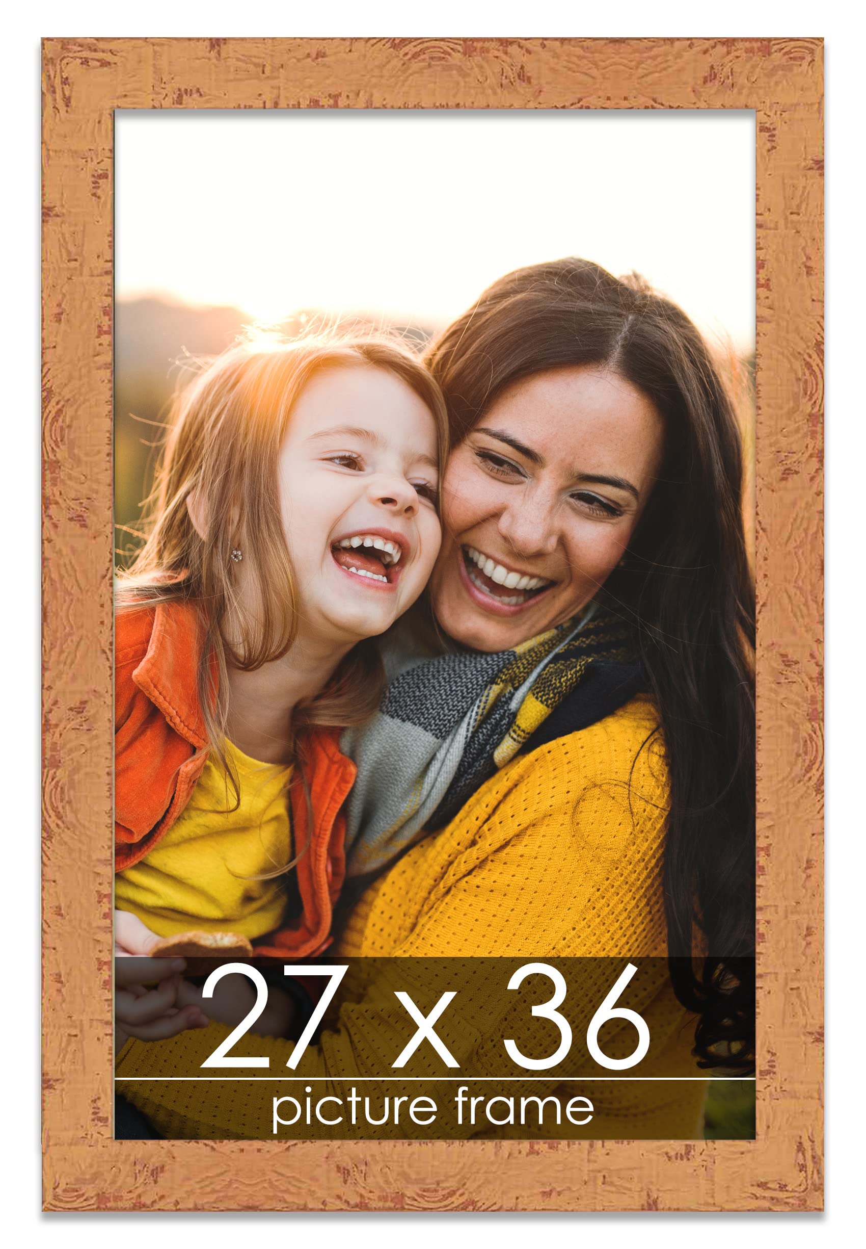 27 X 36 Poster Frame