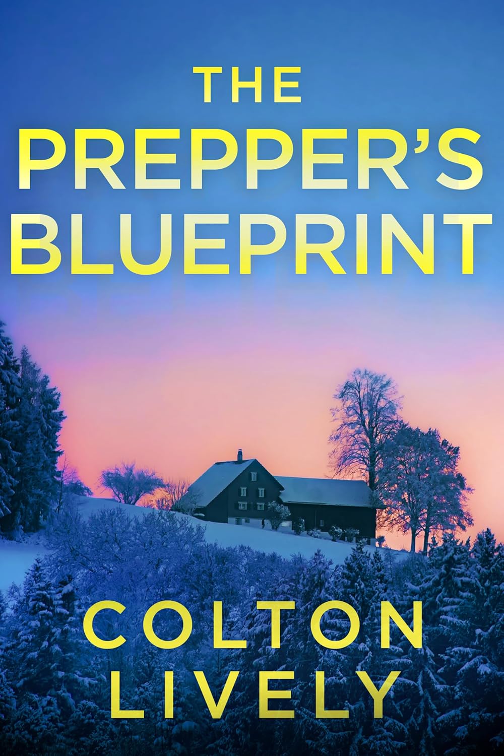 Amazon.com: The Prepper's Blueprint: An EMP Post Apocalypse Prepper Survival Thriller (EMP ...