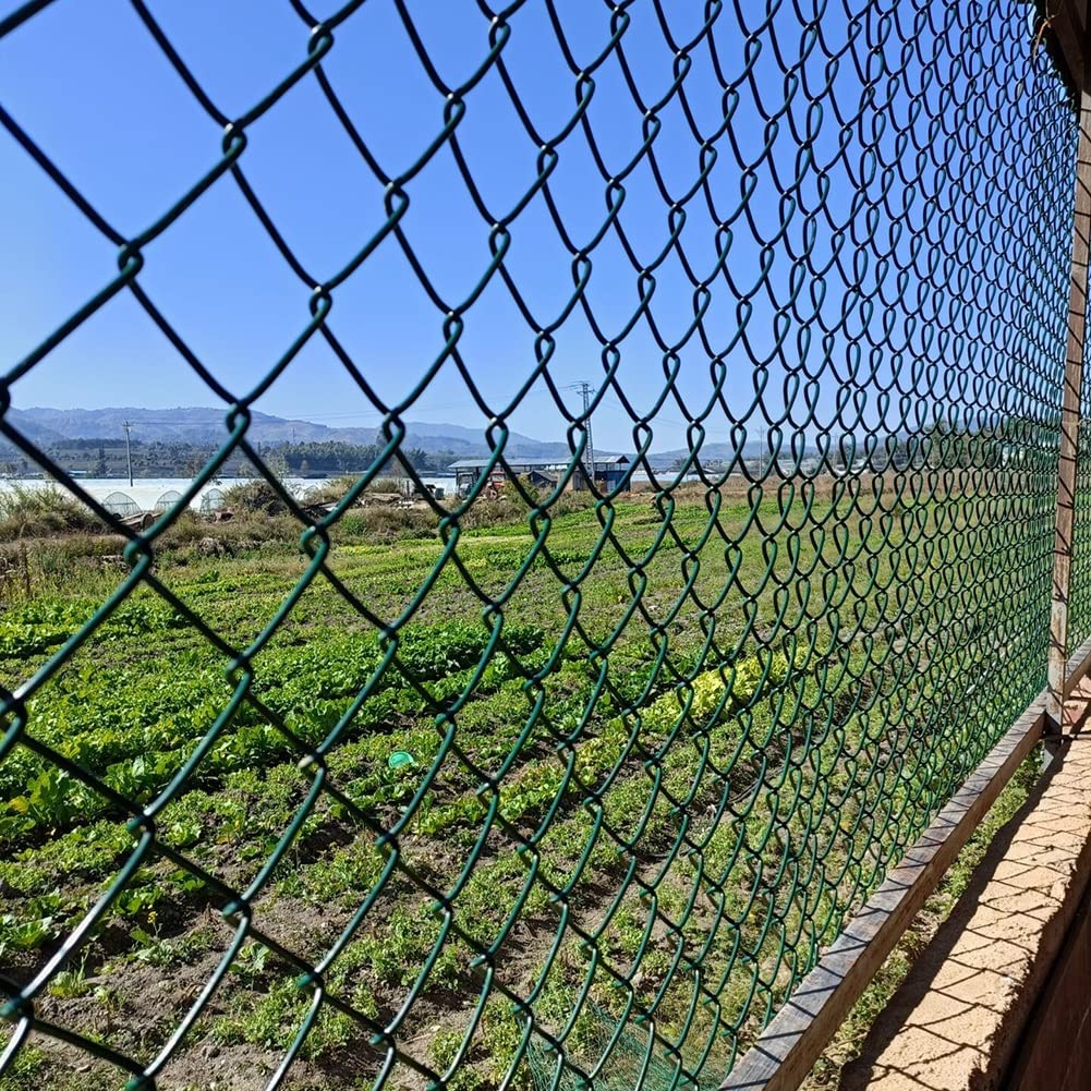 Vinyl Coated Chicken Wire Fence PVC Coated Welded Galvanised Fencing