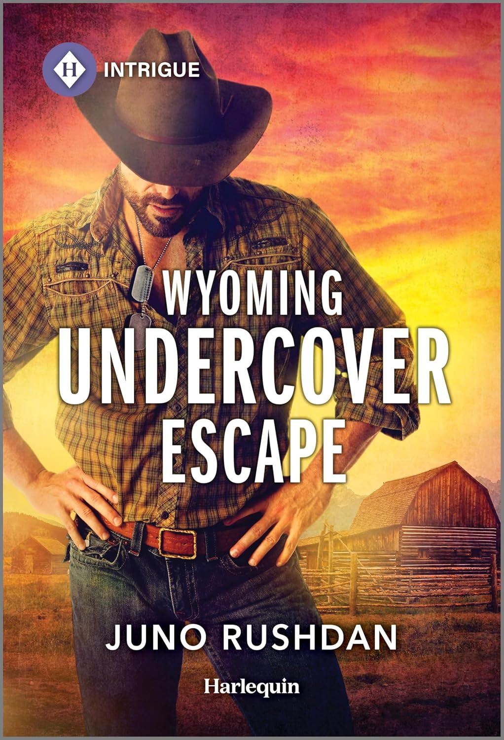 Wyoming Undercover Escape: A Cowboy Protector Suspense Romance (Cowboy ...