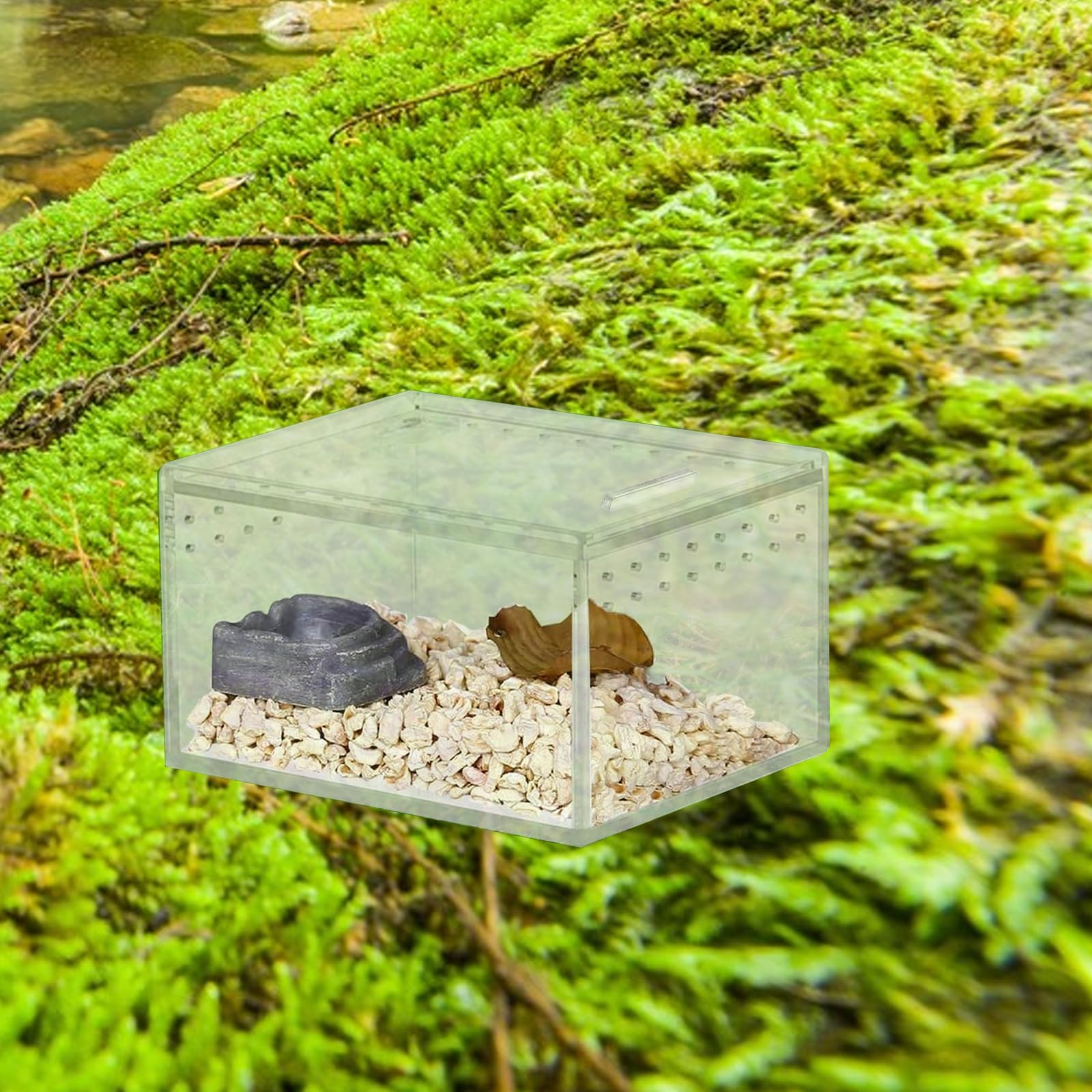 Snapklik.com : Magnetic Acrylic Jumping Spider Enclosure Clear Reptile ...