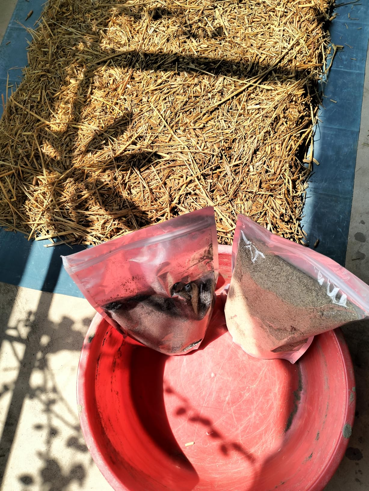 Organic Rice Husk Substrate Supplement for Mushroom Cultivation ...