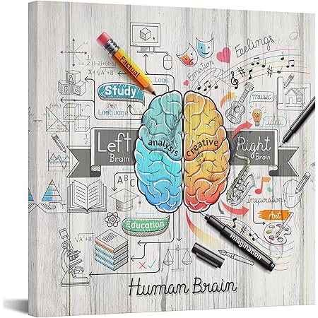 Amazon.com: Biuteawal - Vintage Canvas Wall Art Human Brain Left and ...