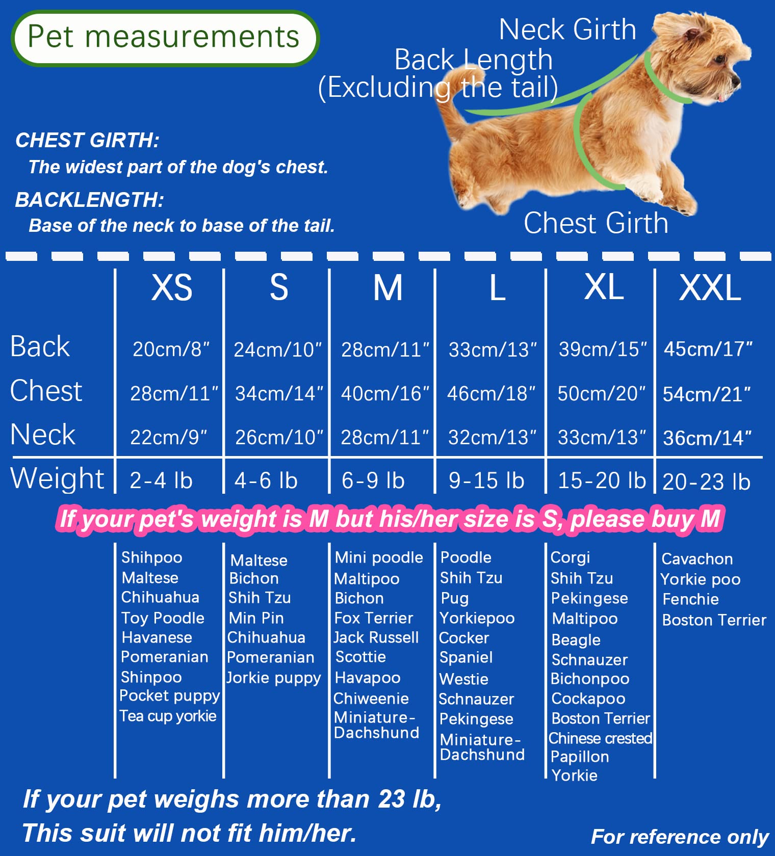 Yorkie Poo Weight Chart Shorkie Dogs: Fun Facts, History And How To