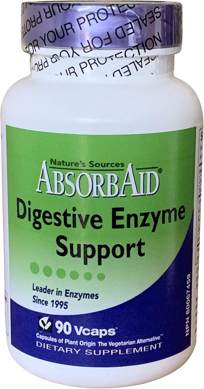 Amazon.com: Nature's Sources AbsorbAid - 600 mg - 90 Vegetarian ...