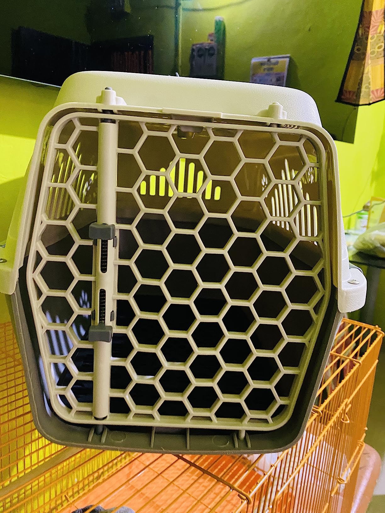 The DDS Store Pet Travel Carrier Puppy Cat Rabbit Basket Plastic Handle ...