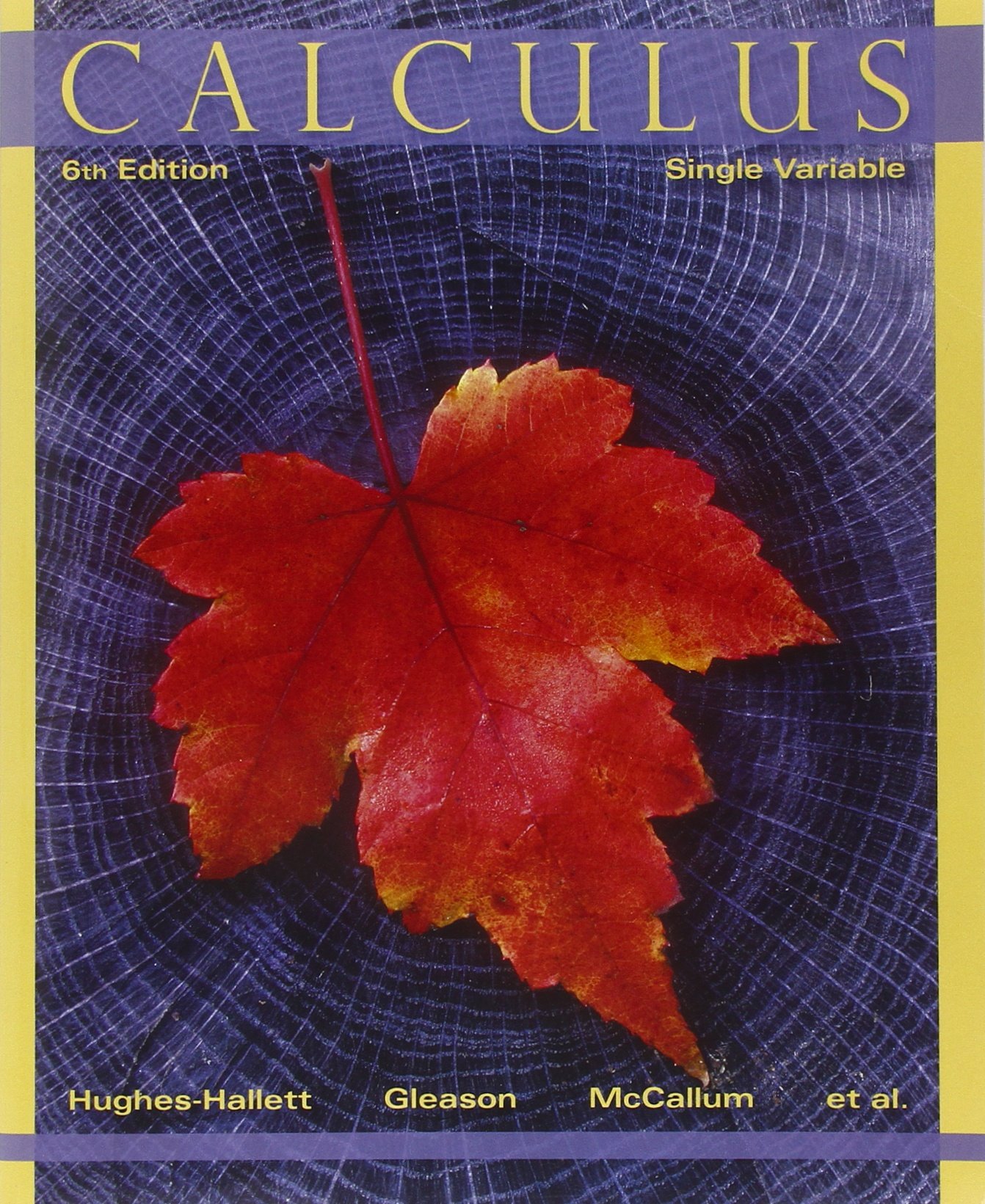 Calculus: Single Variable: Hughes-Hallett, Deborah, Gleason, Andrew M ...