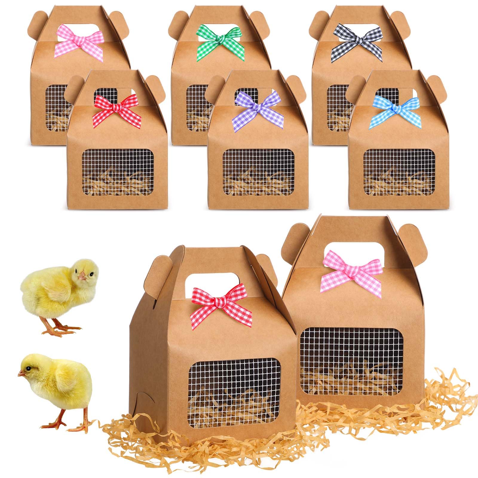 Cardboard Chick Boxes