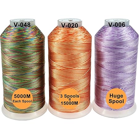 Amazon.com: Simthreads 28 Variegated Color Embroidery Machine Thread ...