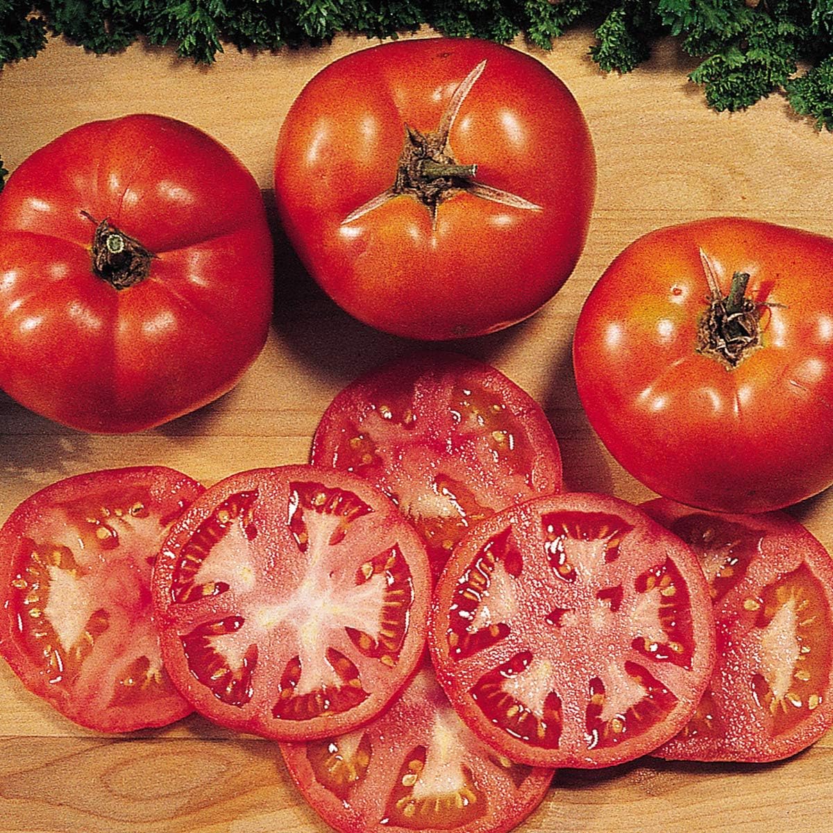 Amazon.com : Burpee Druzba Tomato Seeds 30 seeds : Patio, Lawn & Garden