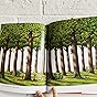 Little Tree: Long, Loren, Long, Loren: 9780399163975: Amazon.com: Books