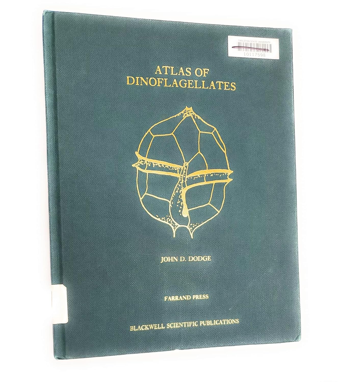 Atlas of Dinoflagellates: A scanning electron microscope survey: Amazon ...