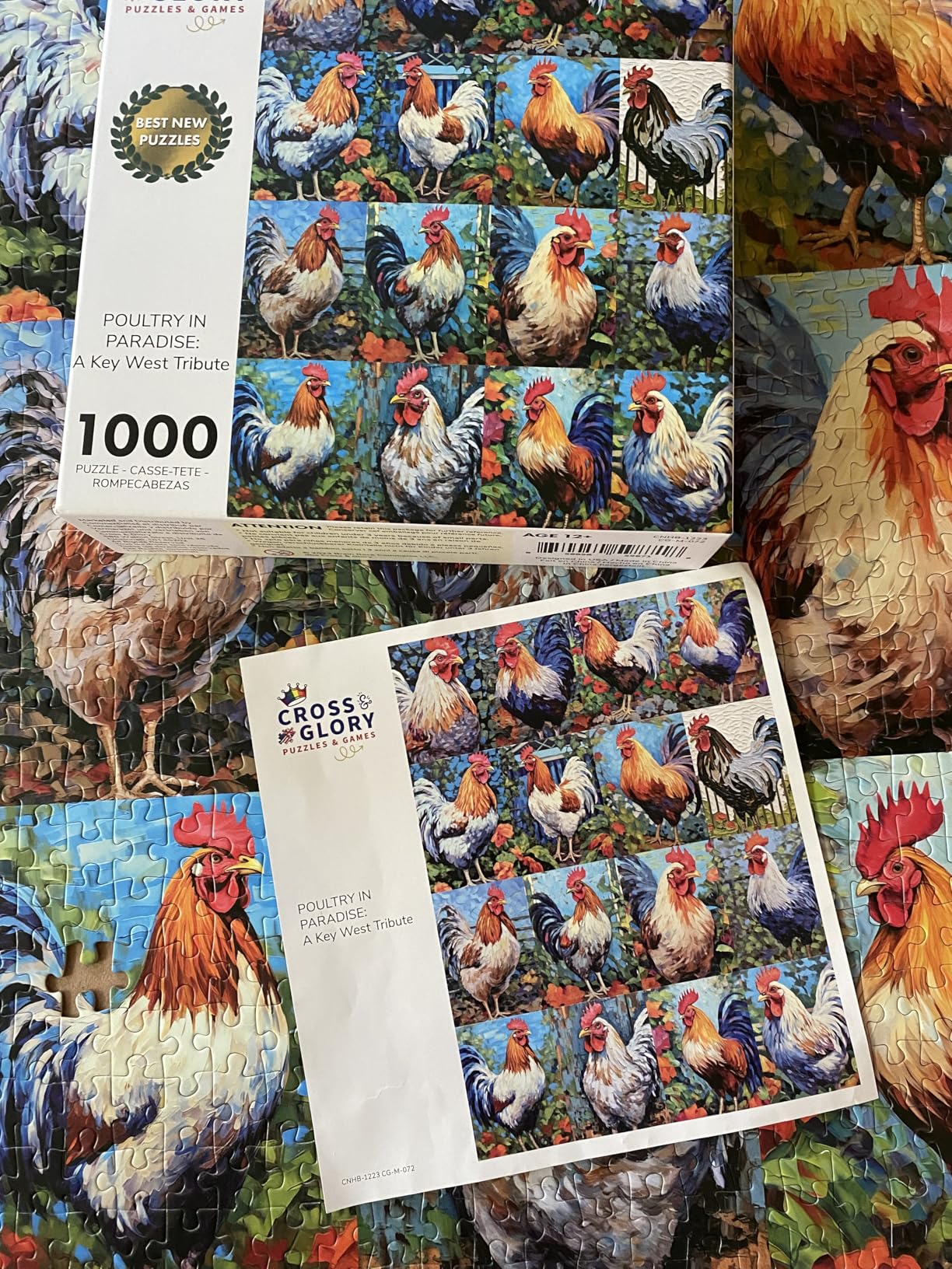 Amazon.com: Poultry in Paradise: A Key West Tribute - Vibrant Chicken ...